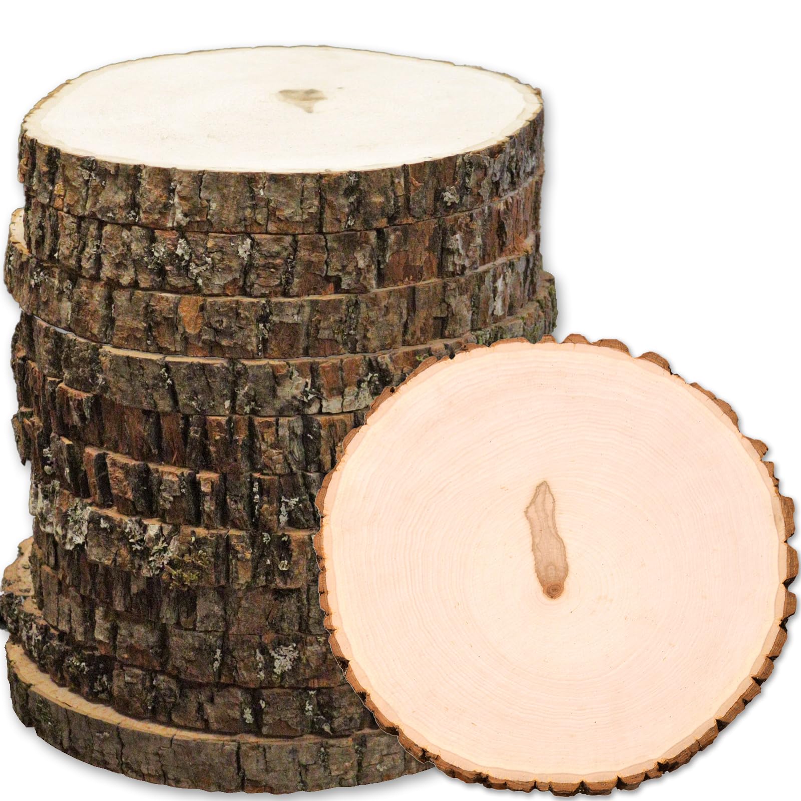 Snapklik.com : 12 Pack Basswood Round Rustic Wood Slice, Sanded Side, 9 ...