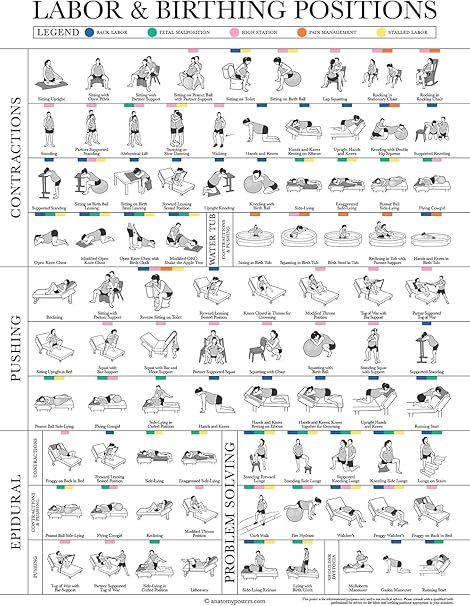 Amazon.com: Palace Learning Labor Positions Poster - Birthing Positions ...
