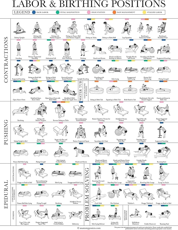 Amazon.com: Labor Positions Poster - Birthing Positions Chart ...