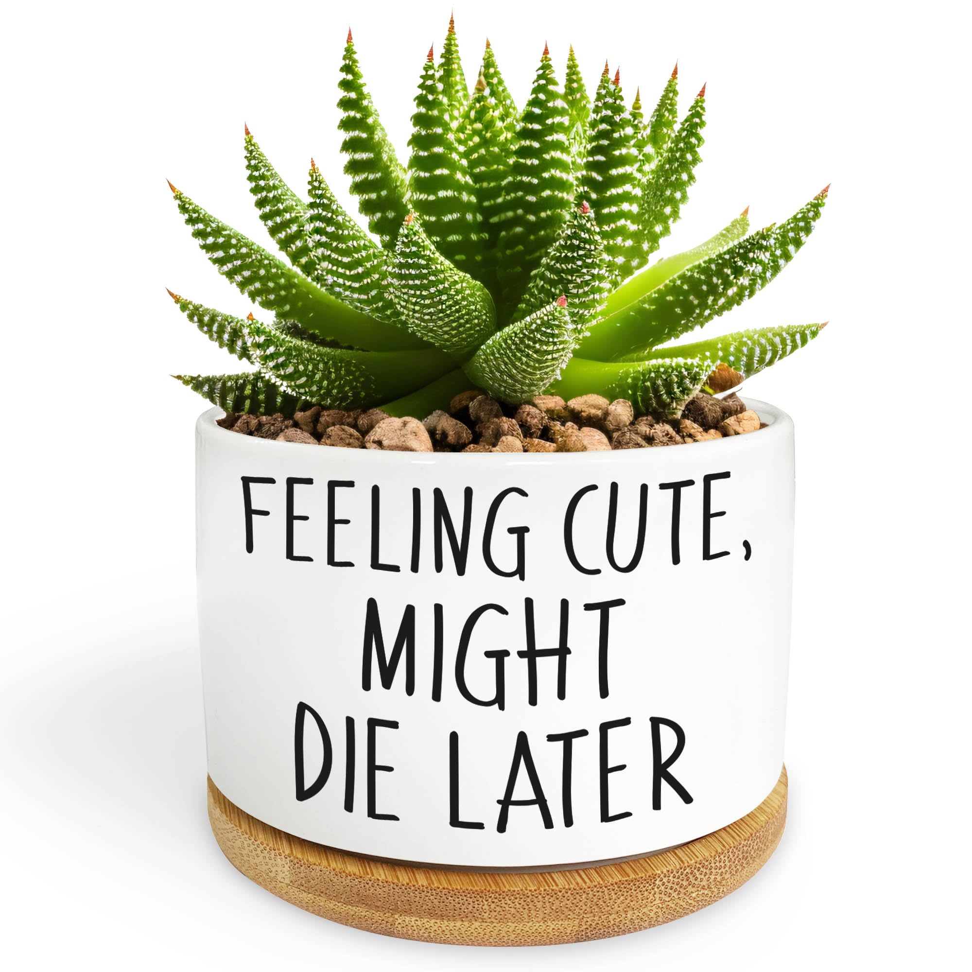 Amazon.com: Bttwkco Funny Succulent Pots, Mini Succulent Planter Pots ...