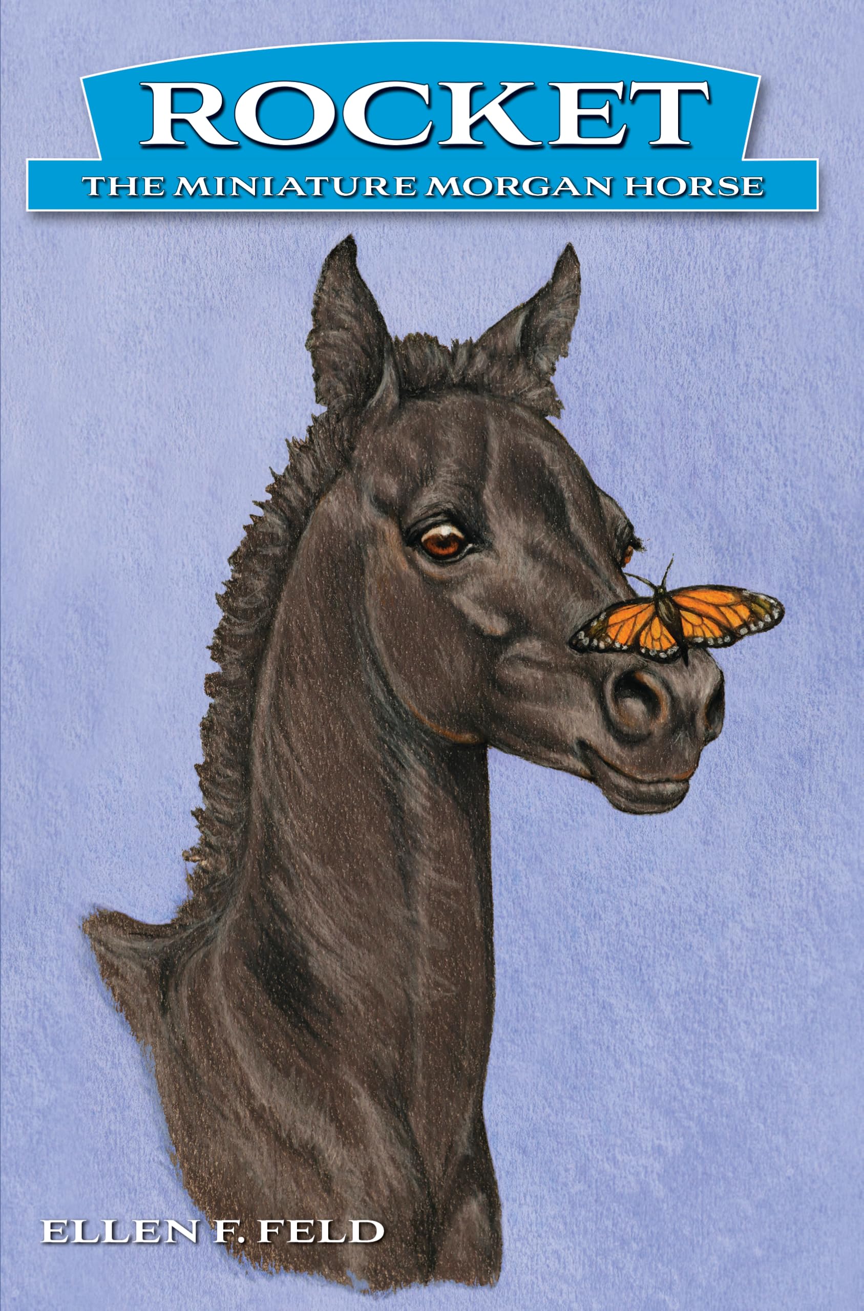 Rocket: The Miniature Morgan Horse (The Miniature Morgan Series, Book ...