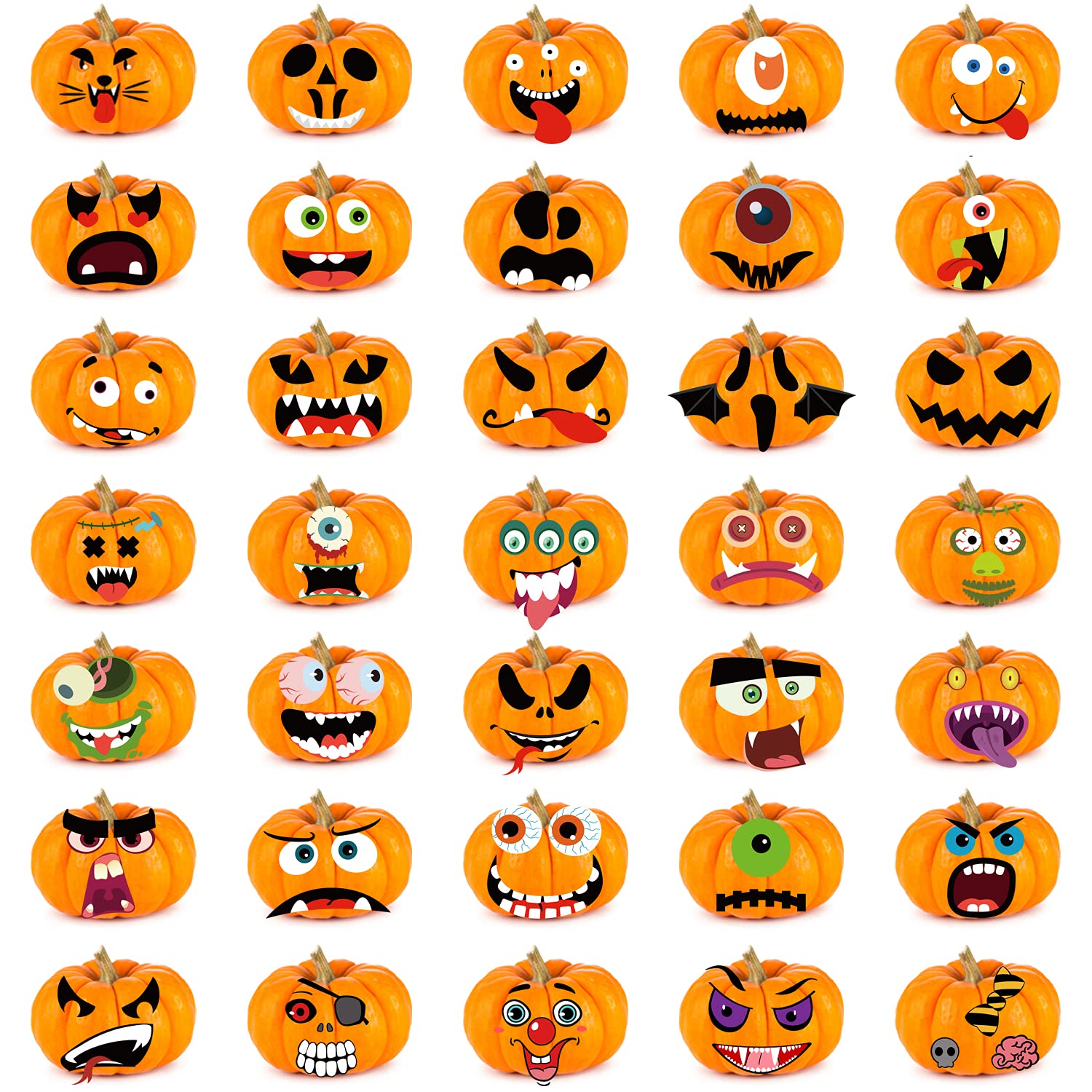 Bang Pompoen Clipart