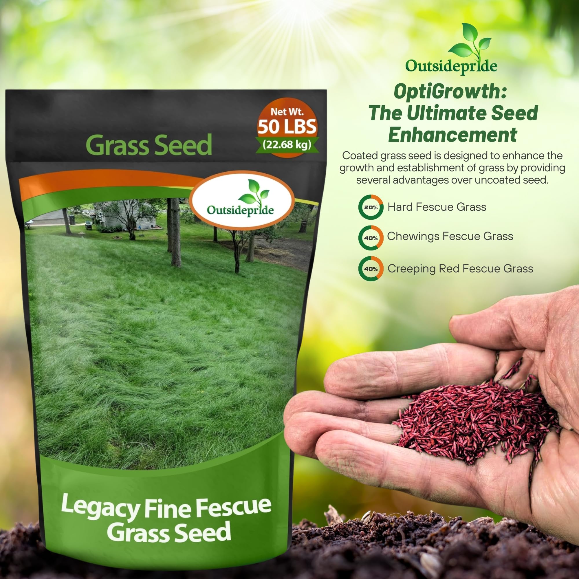 Tall Fescue Grass Seed Pennington Ti-Fescue 50 LB Bag Of Seed. Will Gow ...