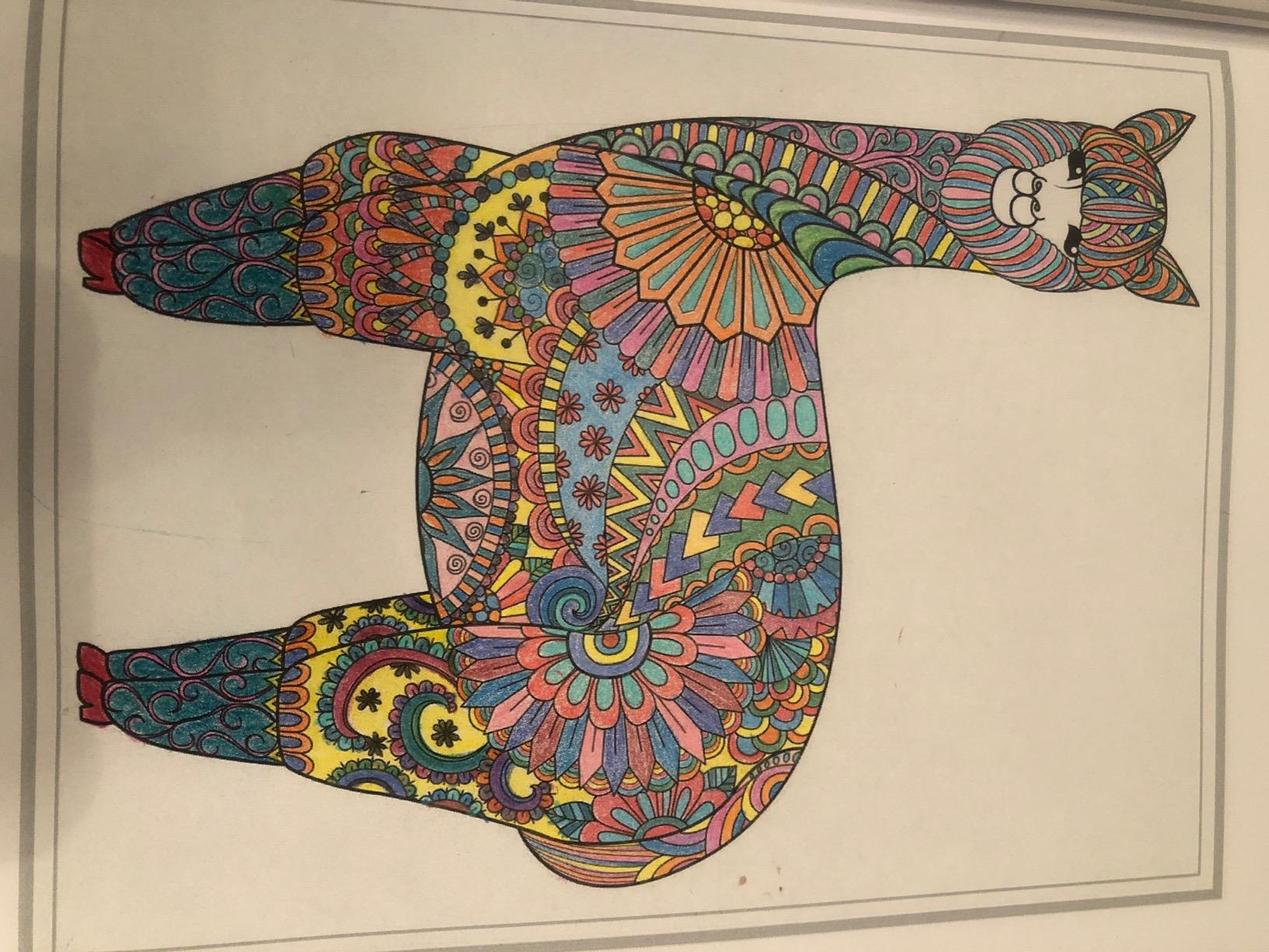 ADULT COLORING BOOK STRESS RELIEVING 110 ANIMAL DESIGNS: Adult Coloring ...