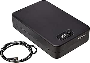 Amazon.com: Amazon Basics Portable Security Case Lock Box Safe, Small ...