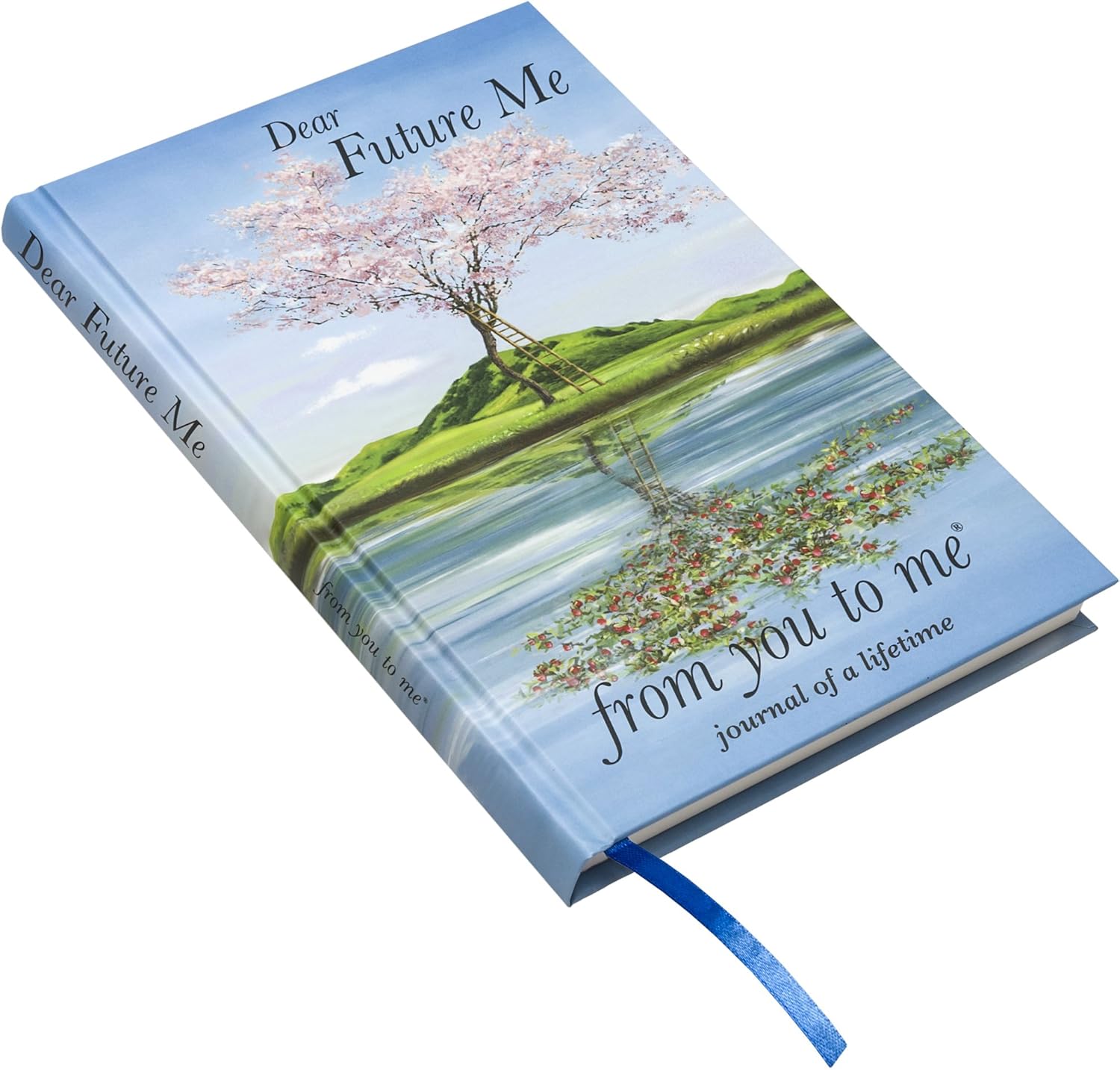 Dear Future Me (Journals of a Lifetime): Peter Coxon: 9781907048166 ...