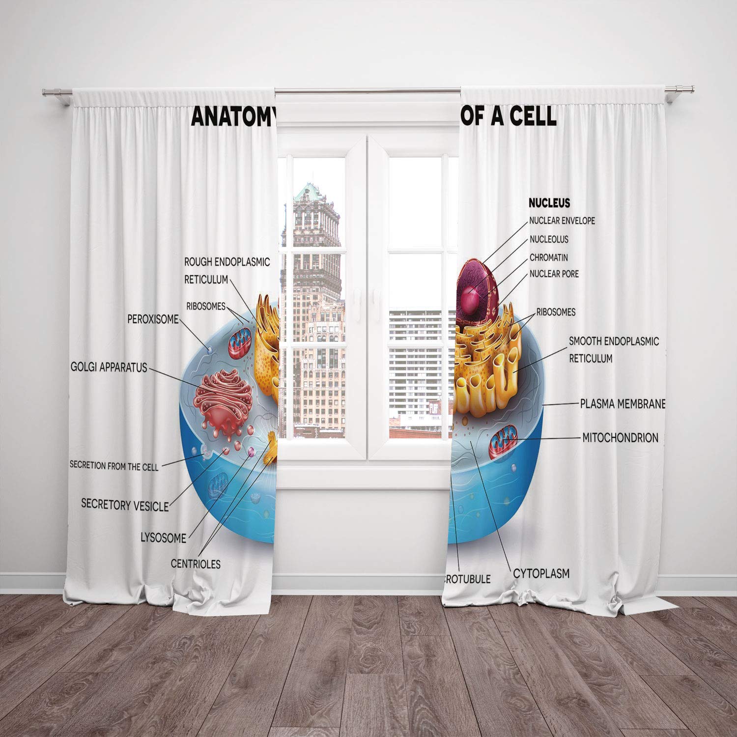 Thermal Insulated Blackout Window Curtain,Educational,Cell Anatomy ...