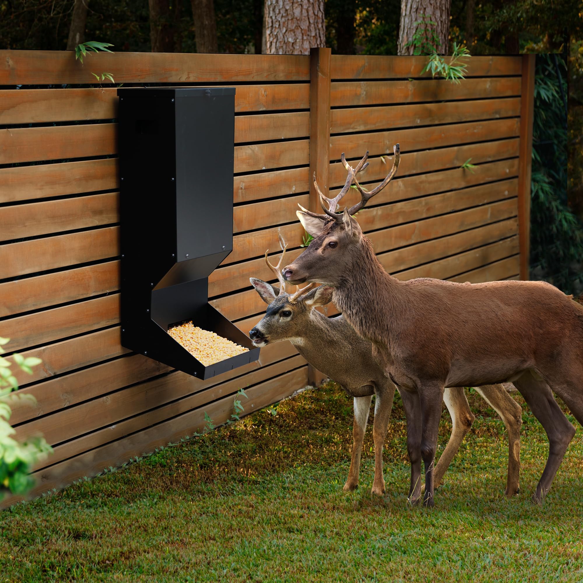 Solution4Patio Large Metal Hanging Deer Feeder Box, Heavy Duty Deer ...