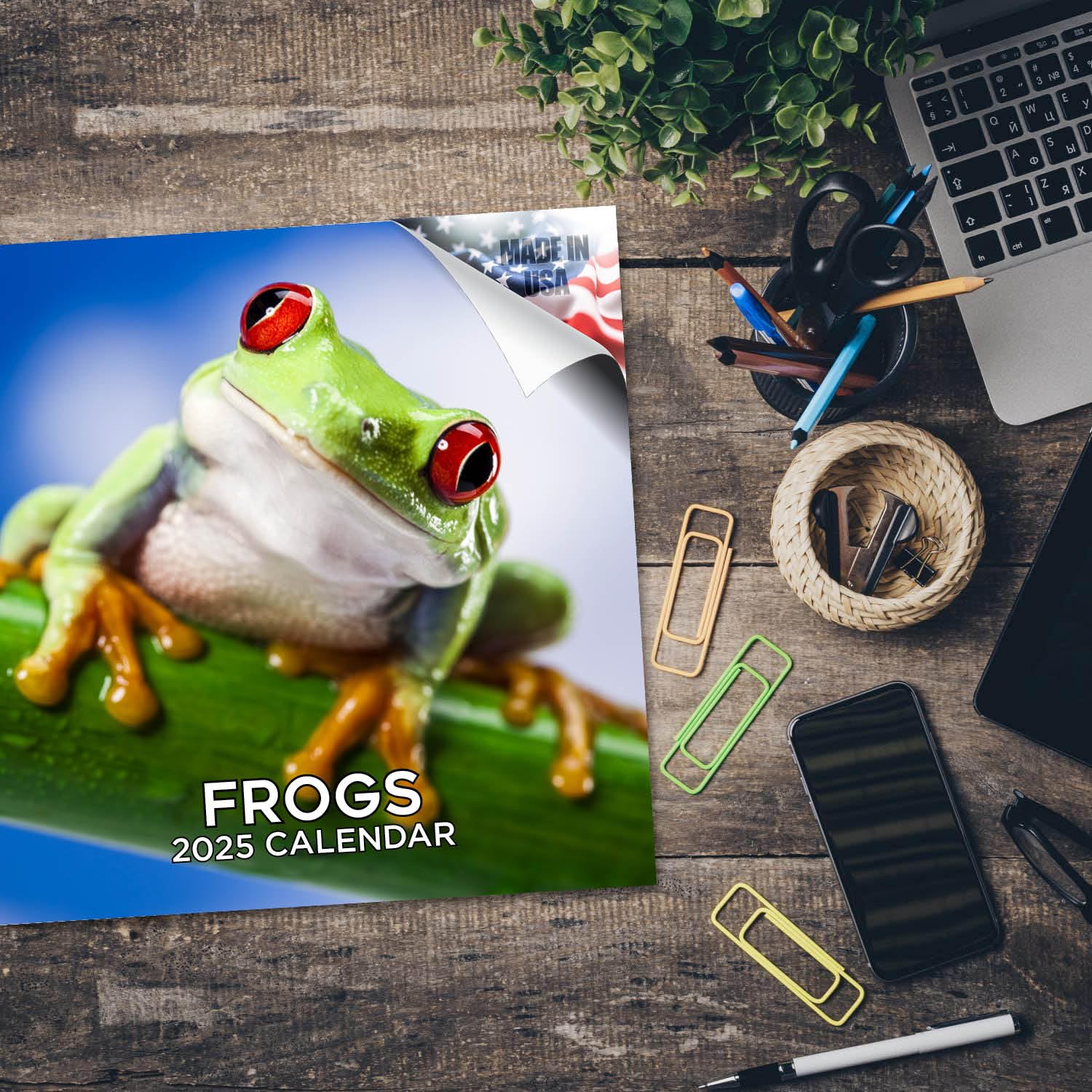 Snapklik.com : 2024 2025 Frogs - Reptile Monthly Wall Calendar - 12 X ...