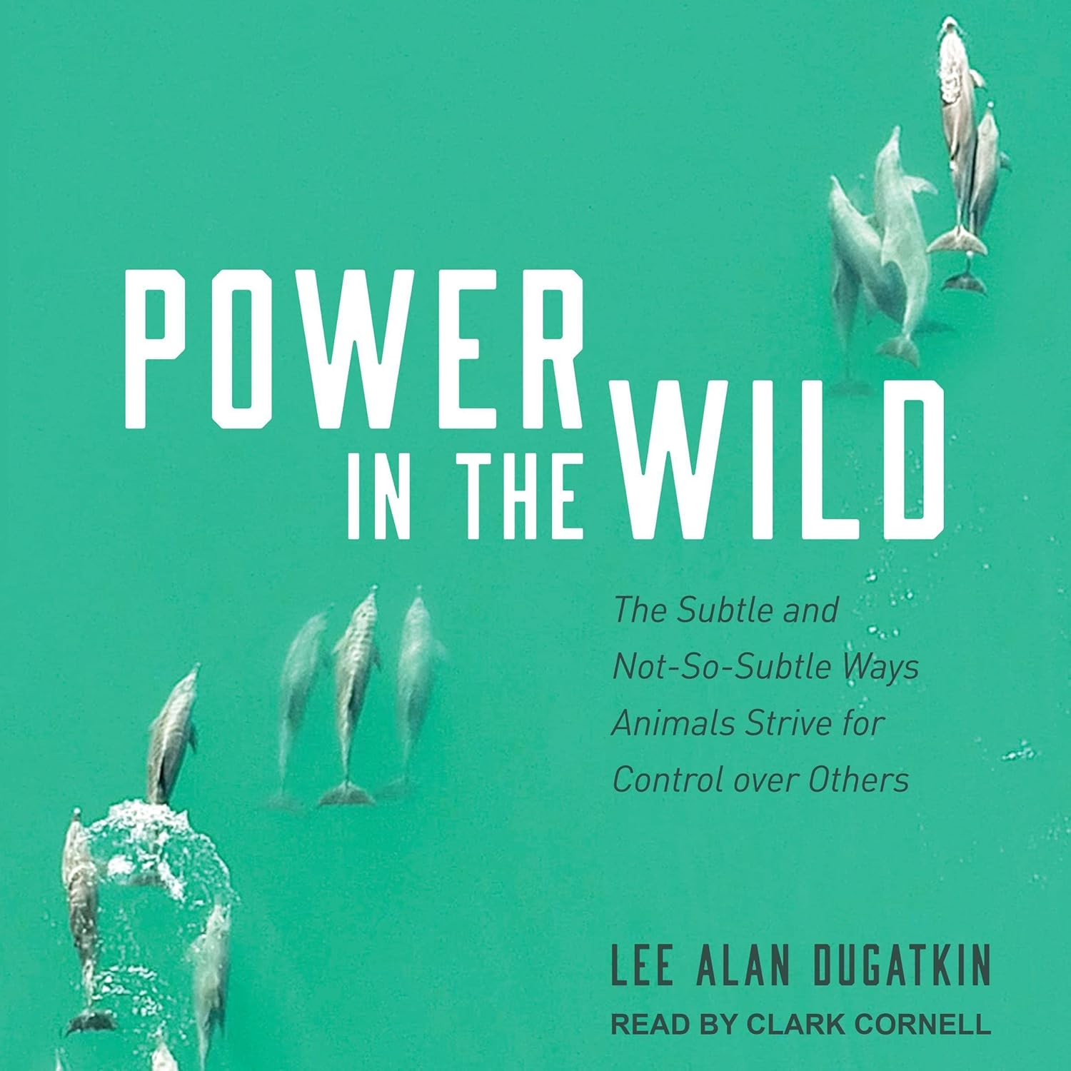 Amazon.com: Power in the Wild: The Subtle and Not-So-Subtle Ways ...