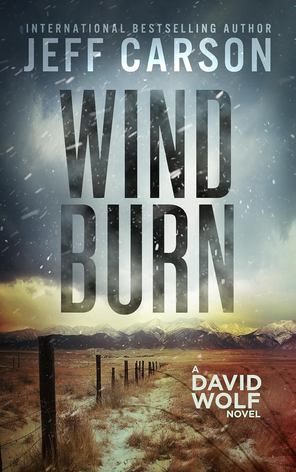 Amazon.com: Wind Burn (David Wolf Mystery Thriller Series Book 19 ...