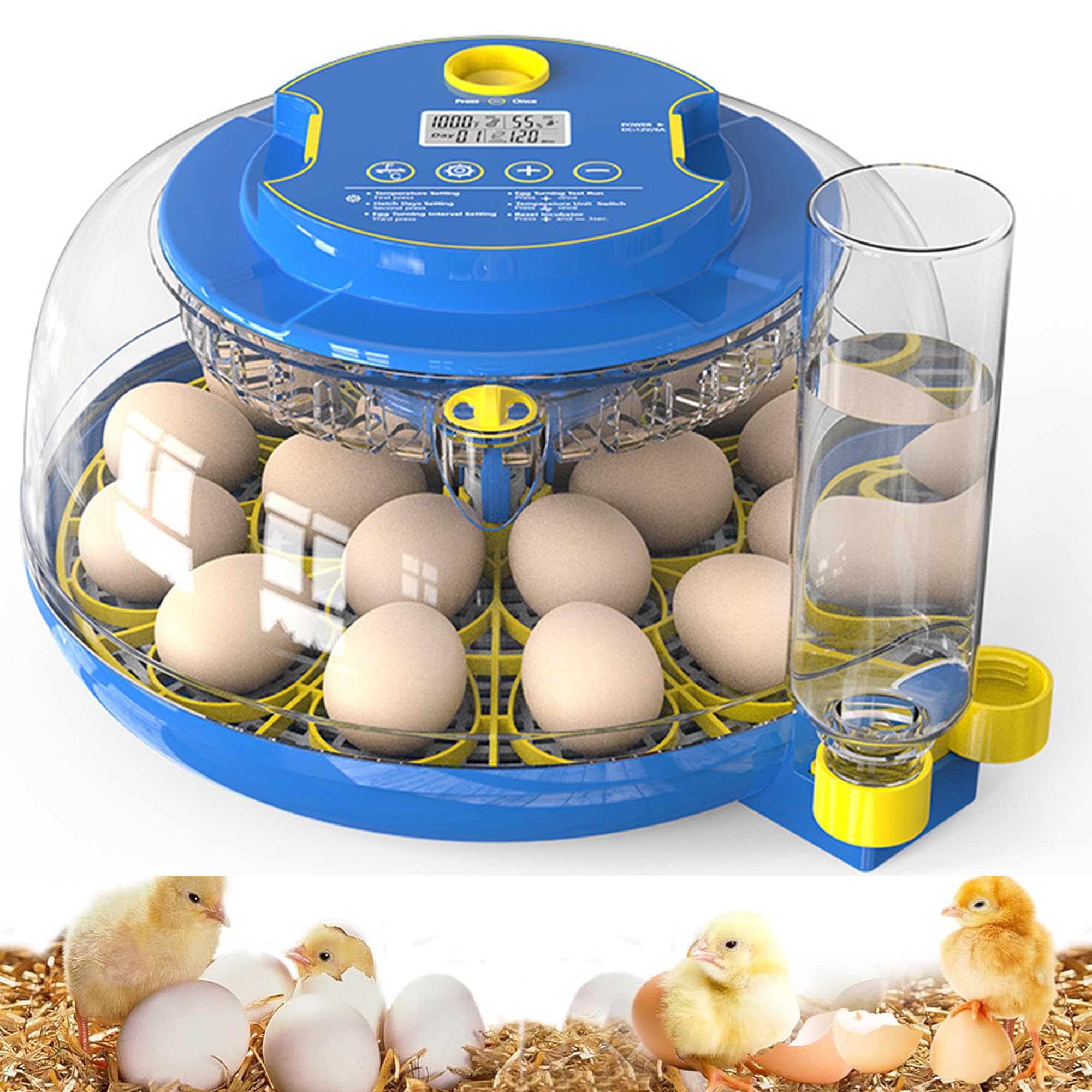 18 Eggs Automatic Egg Incubator, Digital Hatching Eggs with Fully ...