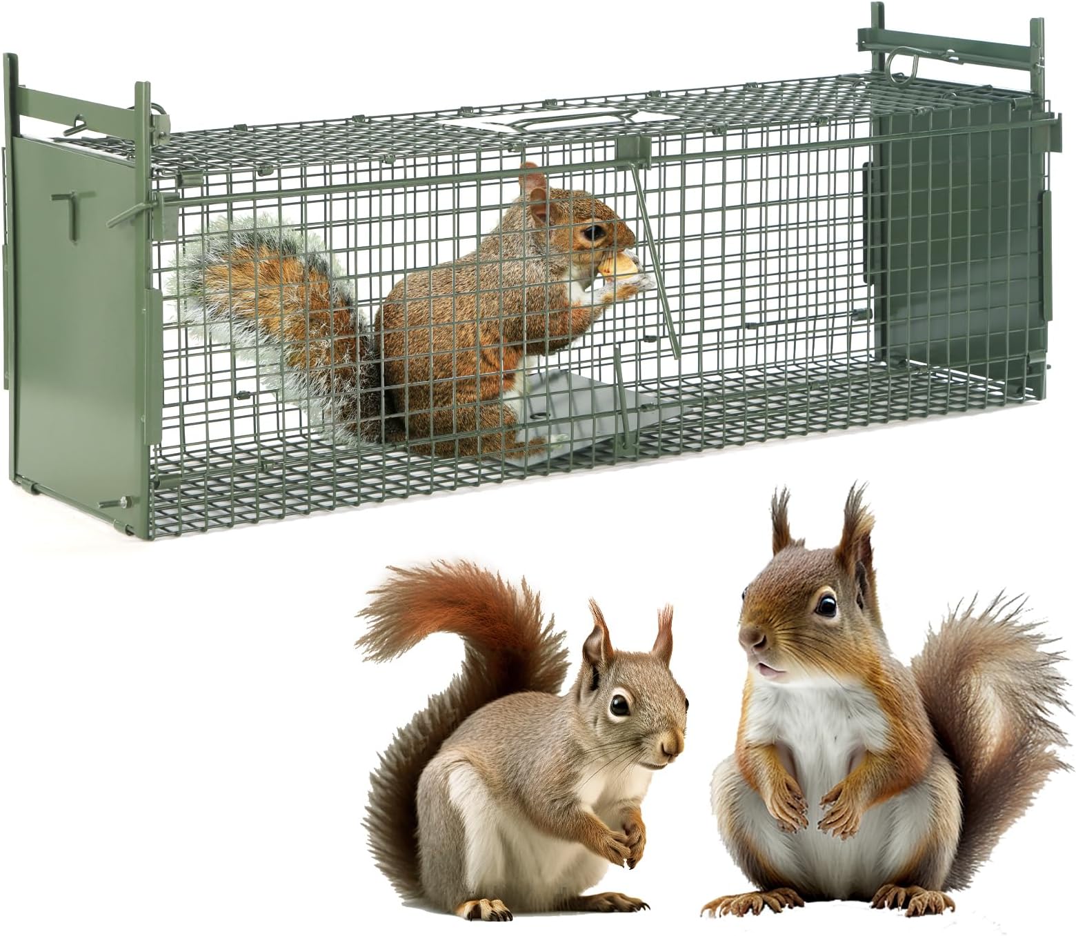 Amazon.com : 26" 2-Door Live Animal Traps for Stray Cats up to 5.5 pounds, Raccoons, Squirrel ...