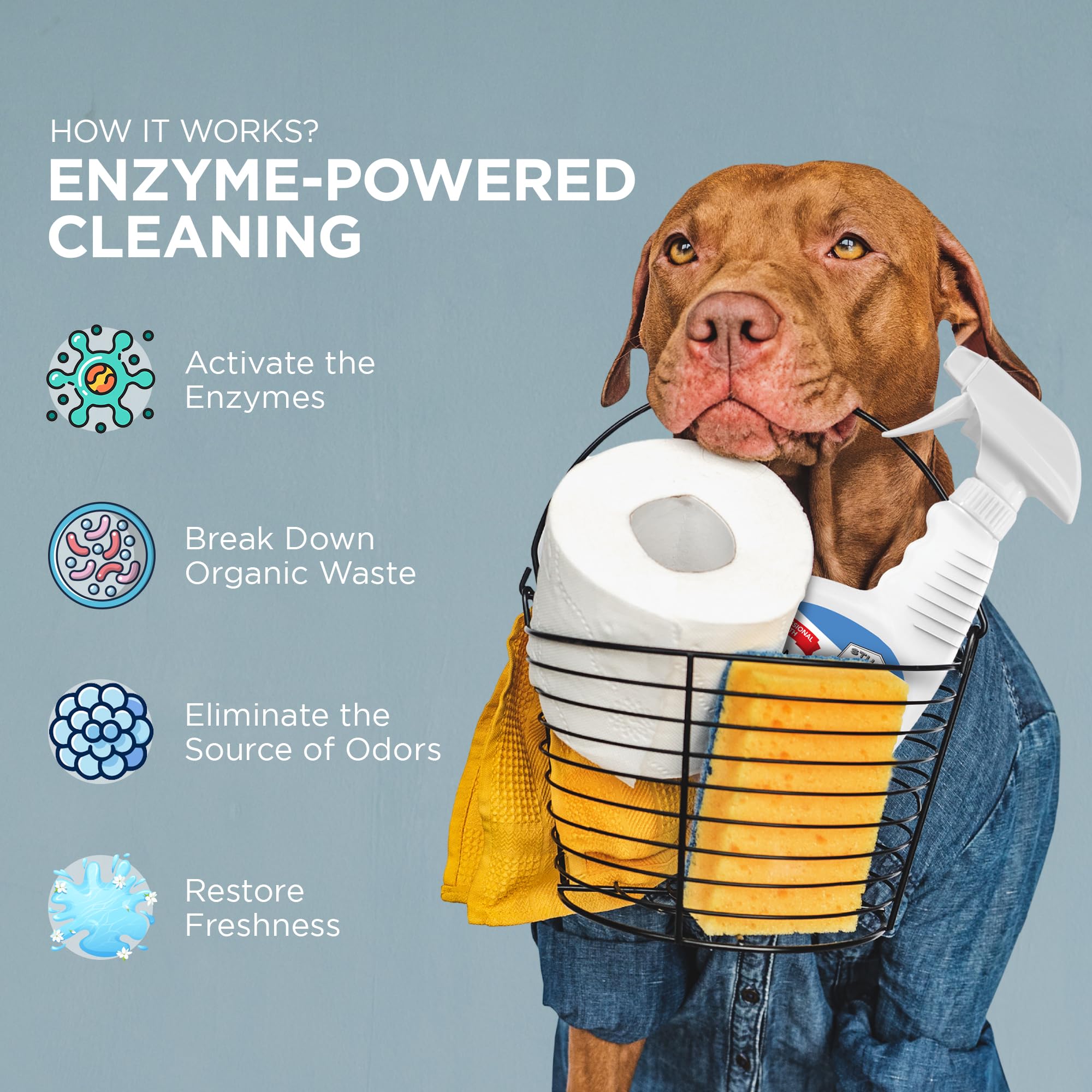 Snapklik.com : Stuart Pet Supply Co. Professional Strength Pet Stain ...