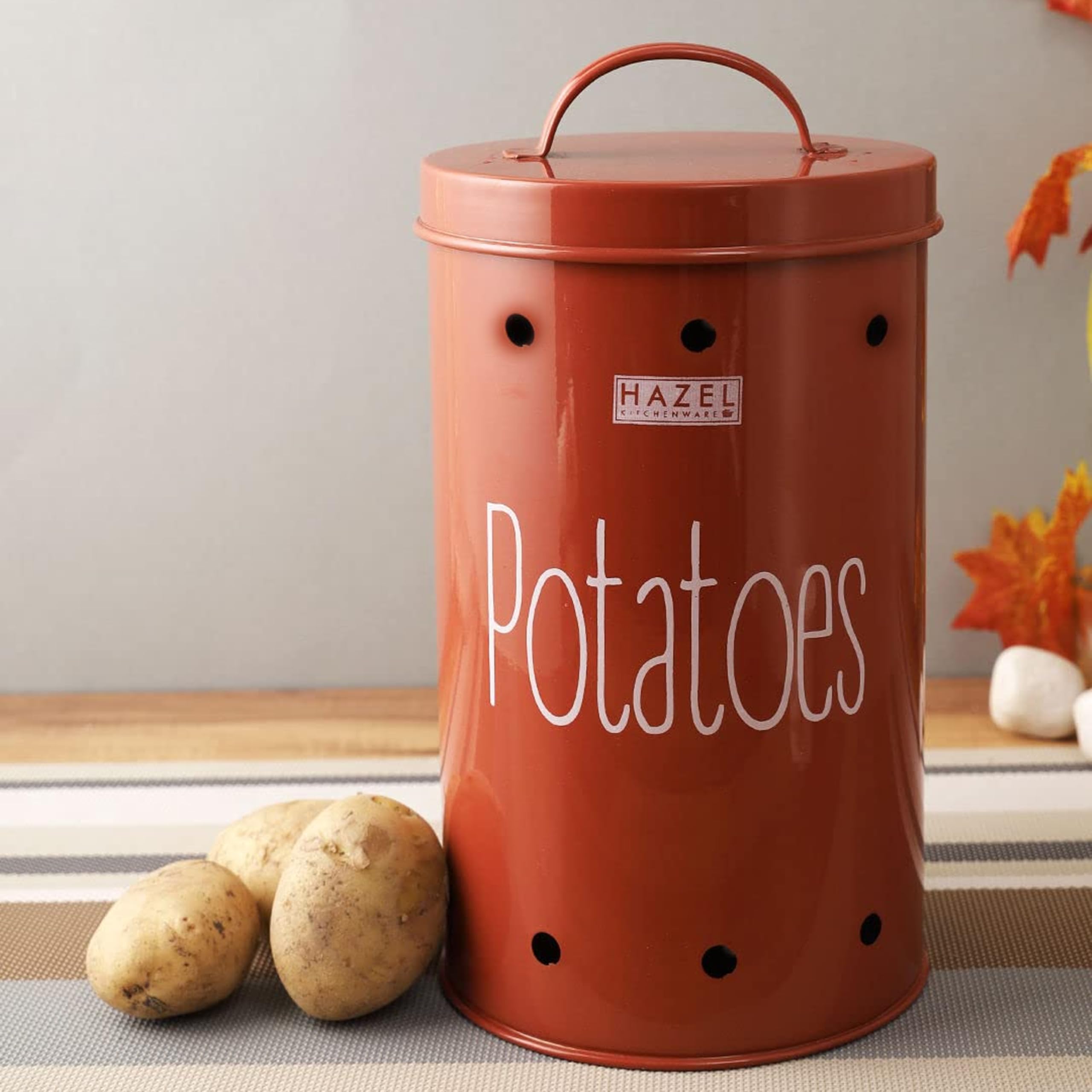 Snapklik.com : HAZEL Potato Storage Container For Kitchen Container For ...