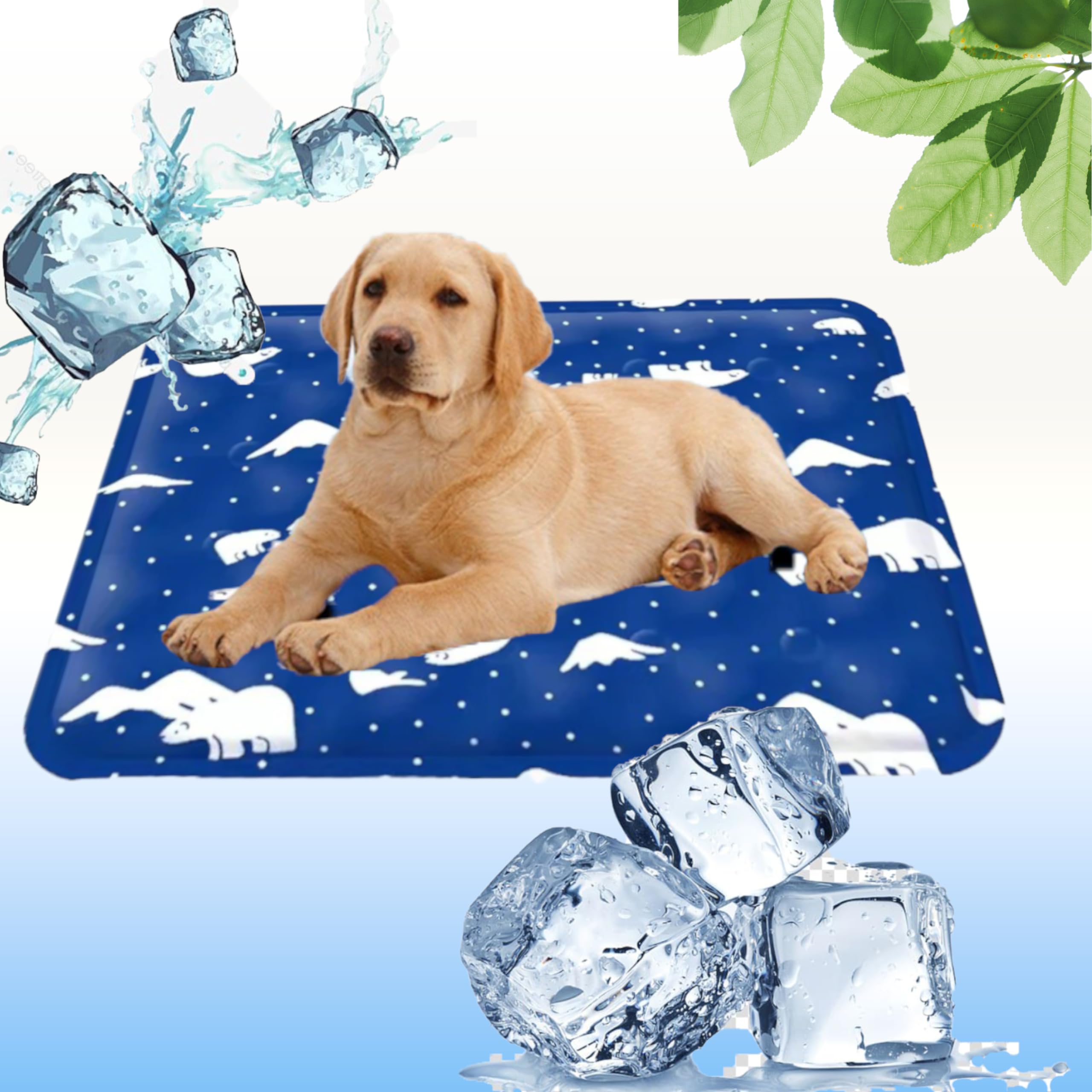 Monty Cat Store- Dog Cooling Mat - 50 x 60 cm - Water Filled- Pet ...