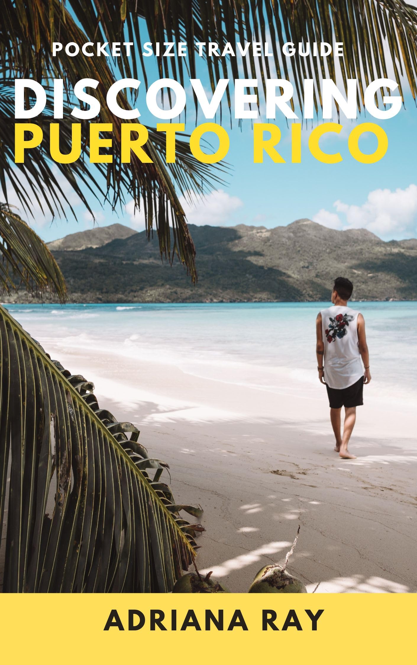 Buy Discovering Puerto Rico: Pocket Size Travel Guide Online at ...