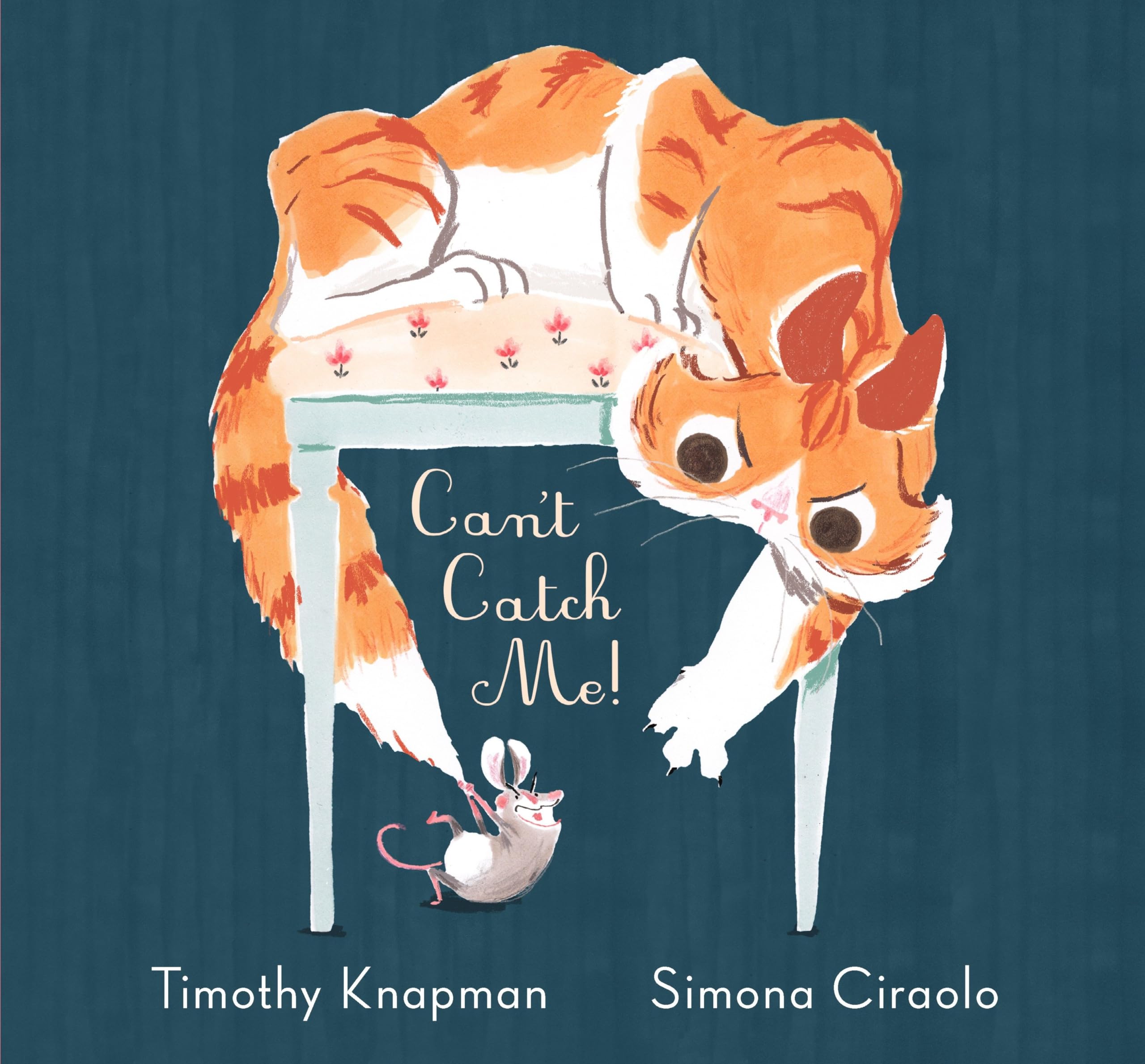 Can't Catch Me!: Knapman, Timothy, Ciraolo, Simona: 9780763694968 ...