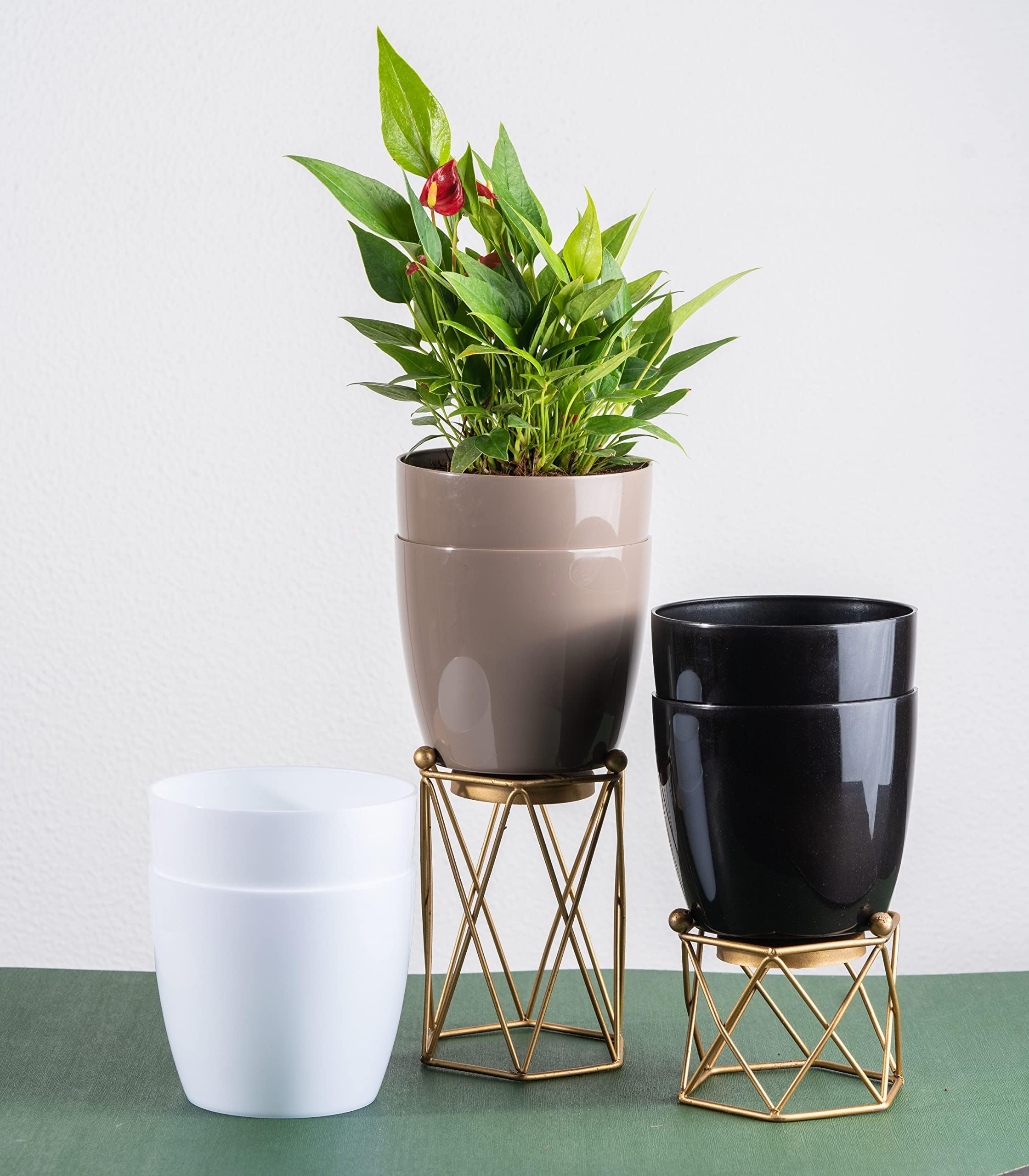 Nurturing Green® Combo of 8 Ivory Self Watering Plastic Pots for Plants ...