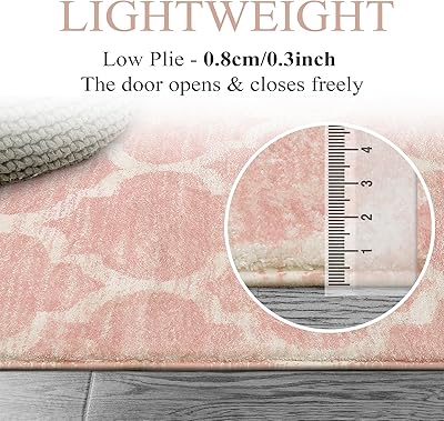 Amazon.com: Lahome Pink Washable Living Room Area Rug - 3x5 Small Rugs ...