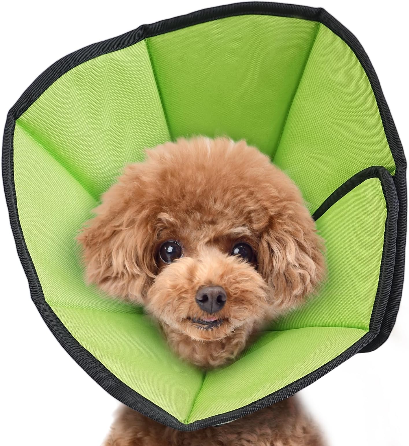 Amazon.com : Hombys Soft Recovery Cone for Pets - Adjustable ...