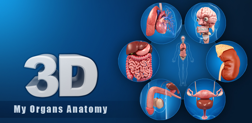 My Organs Anatomy:Amazon.com:Appstore for Android
