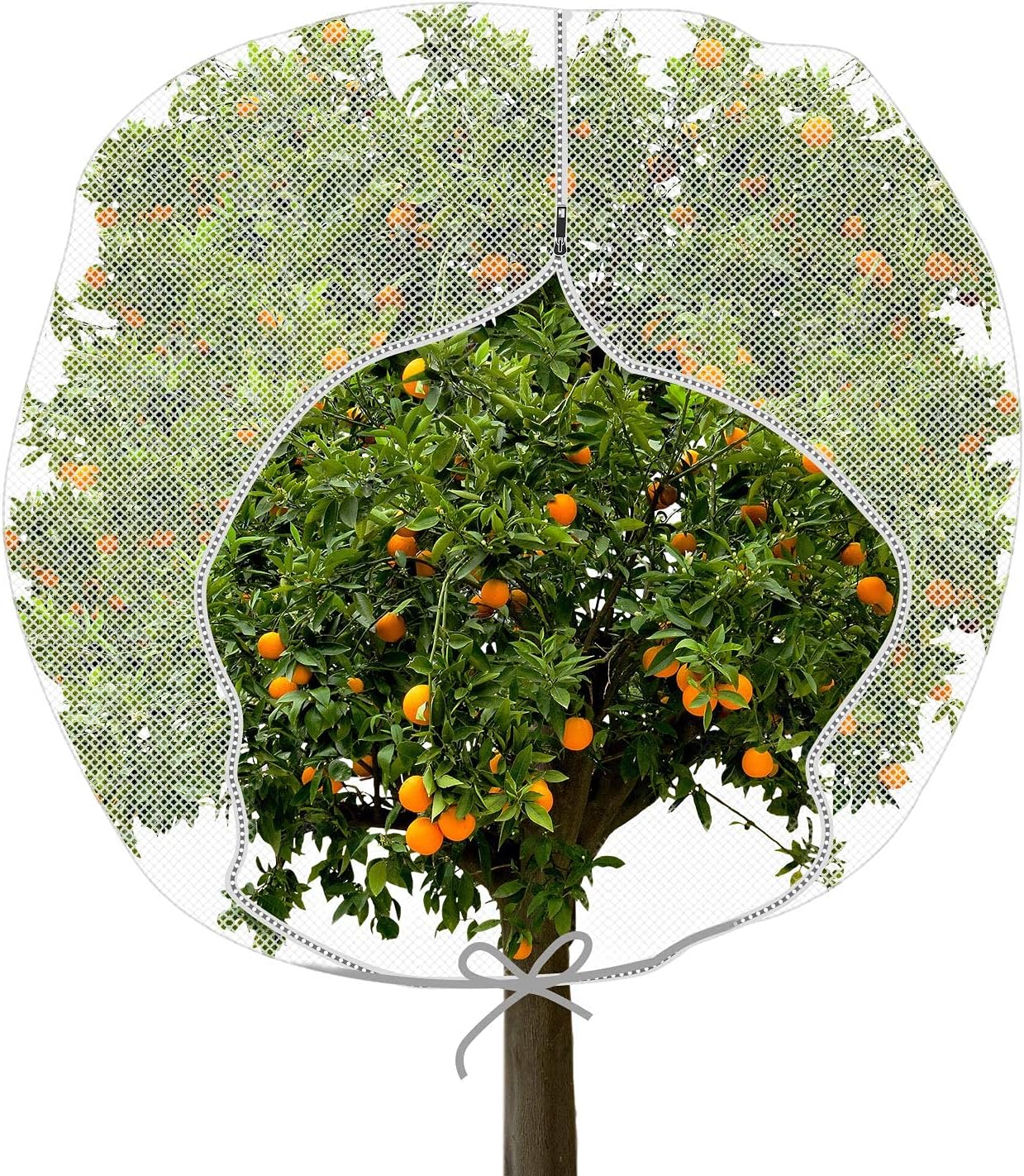 Amazon.com : Fruit Tree Netting Protection Bag, 4’x6’ Garden Netting ...