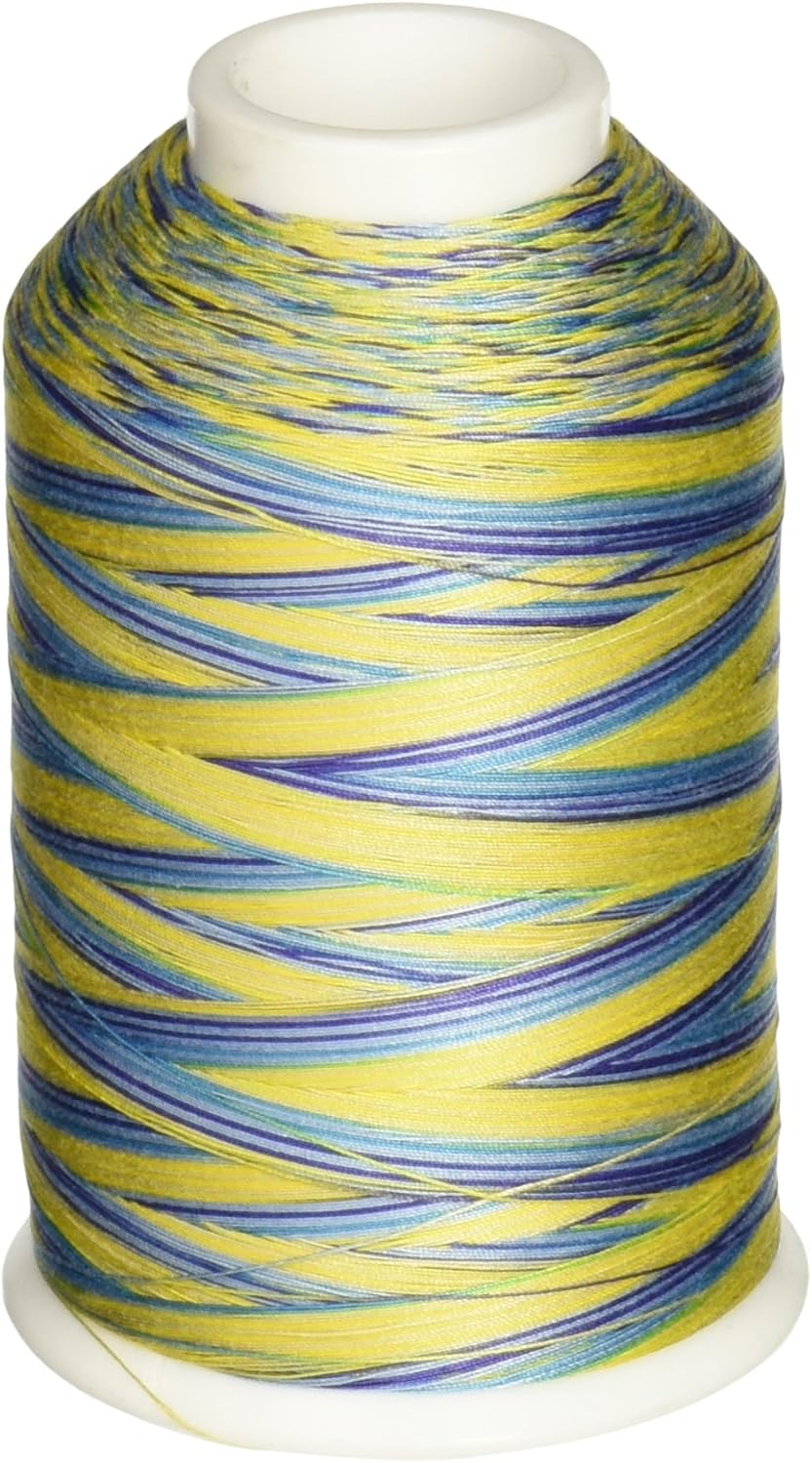 Amazon.com: YLI 24430V72 3-Ply Machine Cotton Quilting Variegated ...