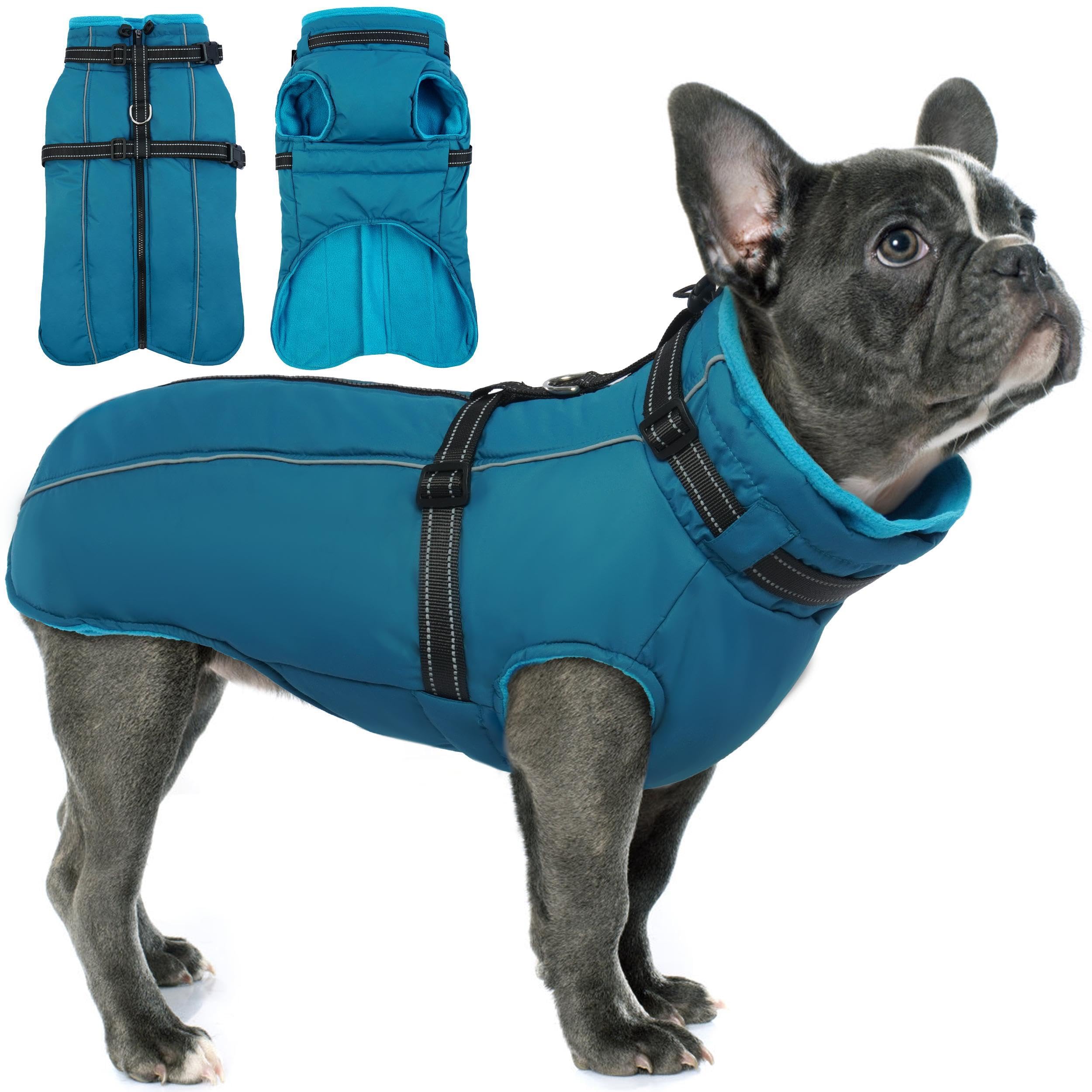 Amazon.com : PUMYPOREITY Small Dog Coat with Harness Built in, Warm ...