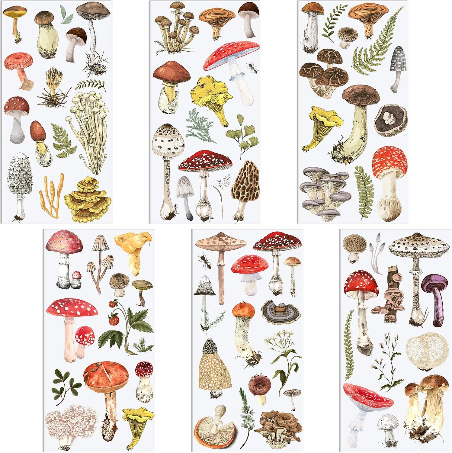 Amazon.com: Geyoga 6 Pcs Vintage Mushrooms Rub on Transfers Mushroom ...