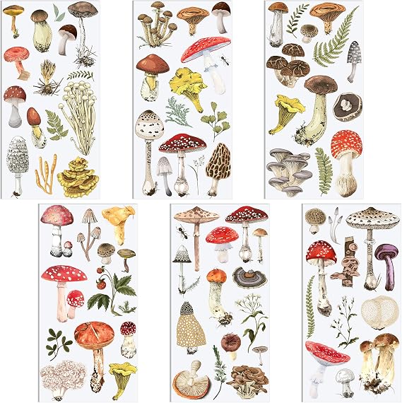 Amazon.com: Geyoga 6 Pcs Vintage Mushrooms Rub on Transfers Mushroom ...