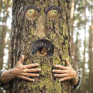 Amazon.com: Old Man Tree Faces Decor Outdoor - Tree Hugger Bark Ghost ...