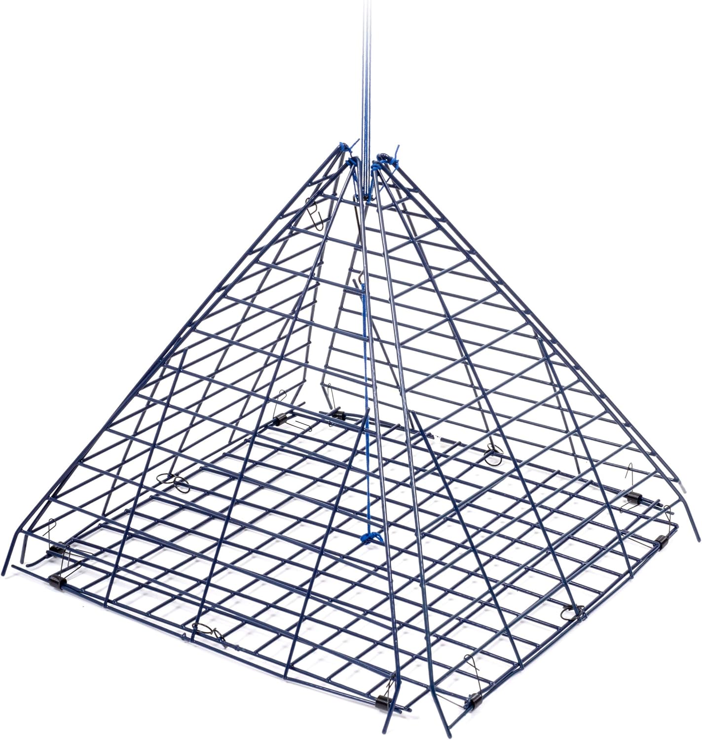 Amazon.com : CRAB TRAP STAR 16", Blue (JWB16) : Fishing Bait Traps ...