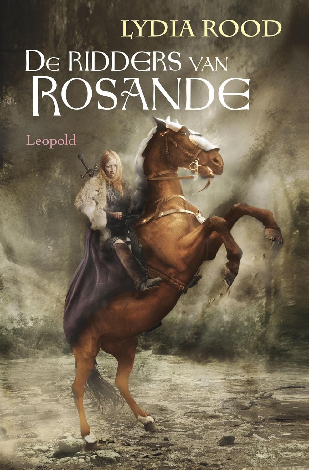 Ridders van Rosande (Dutch Edition) eBook : Rood, Lydia: Amazon.es ...