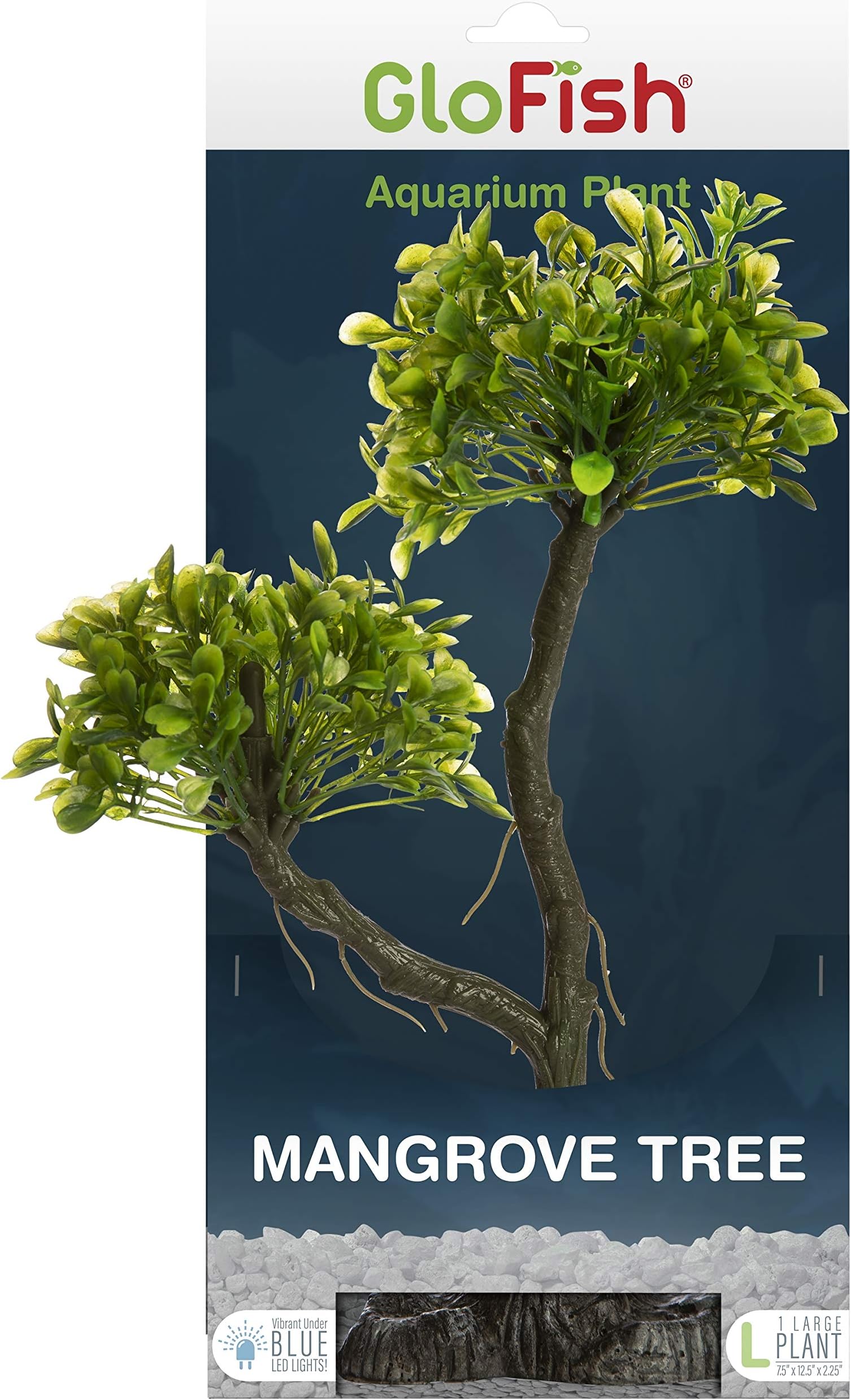 Amazon.com: 8 LIVE RED MANGROVE SALT OR FRESH WATER PLANTS FILTER ...