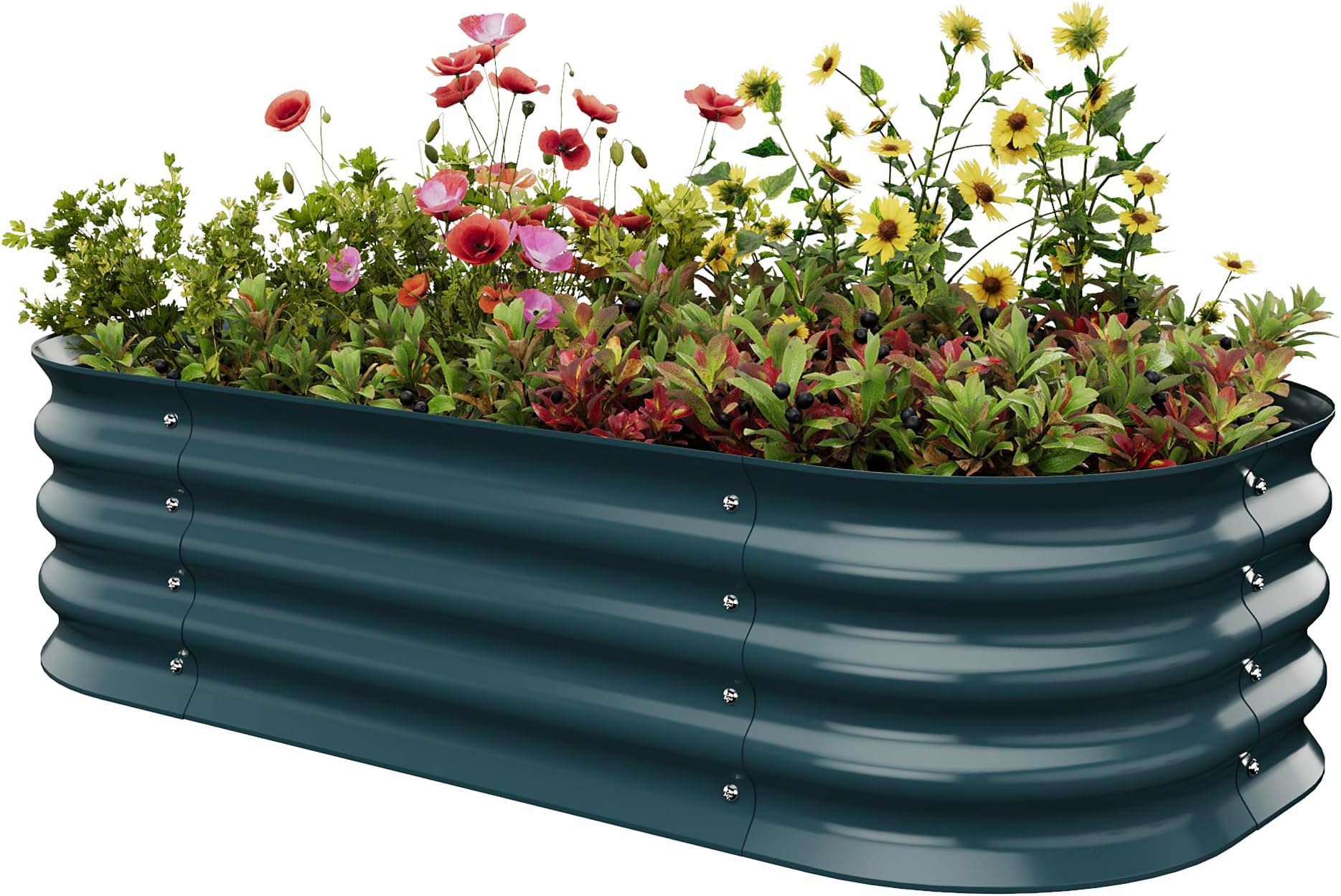 Amazon.com: GAOMON Raised Garden Bed, 6x3x1FT Galvanized Planter Garden ...