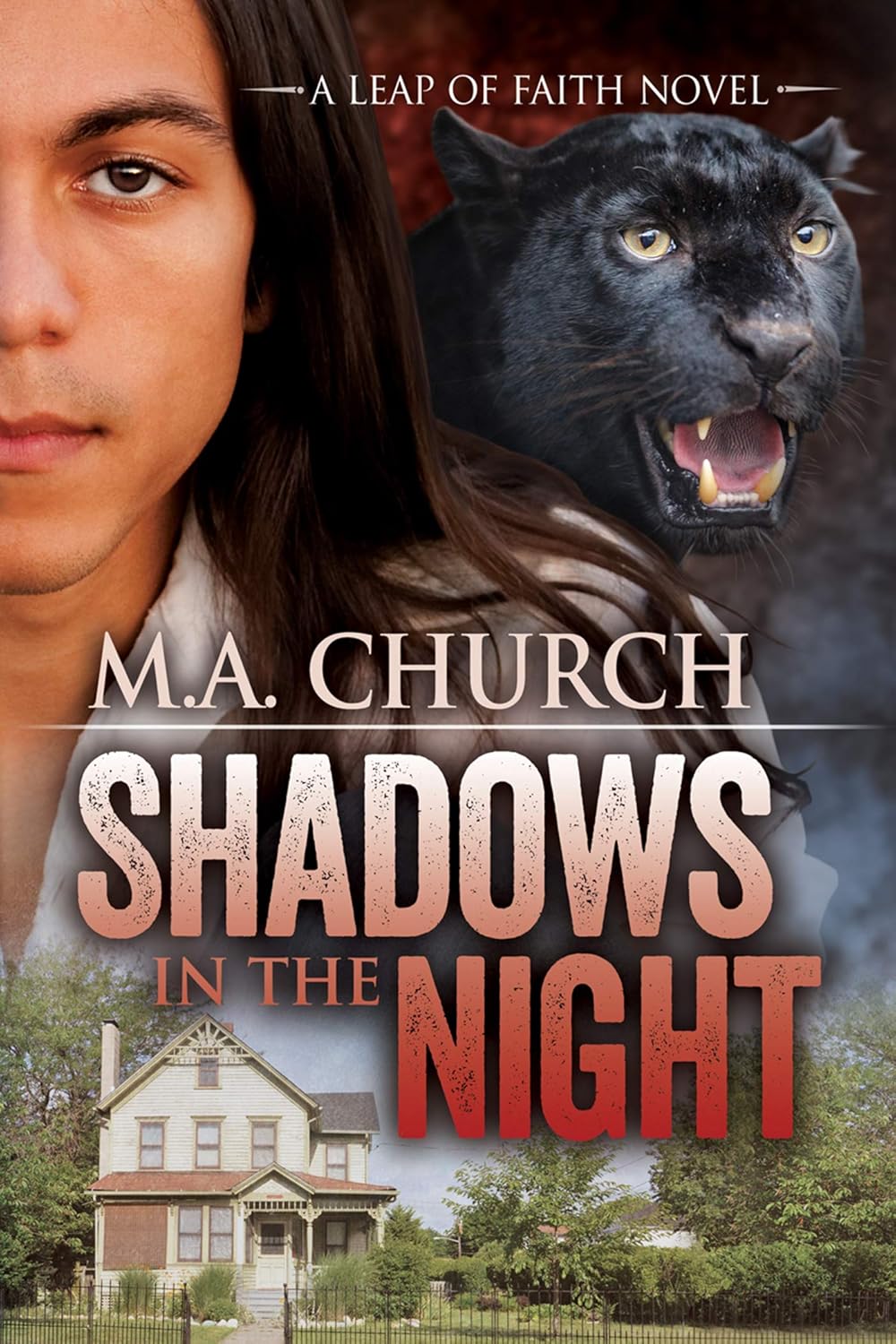 Shadows in the Night (Leap of Faith series Book 1) - Kindle edition by ...