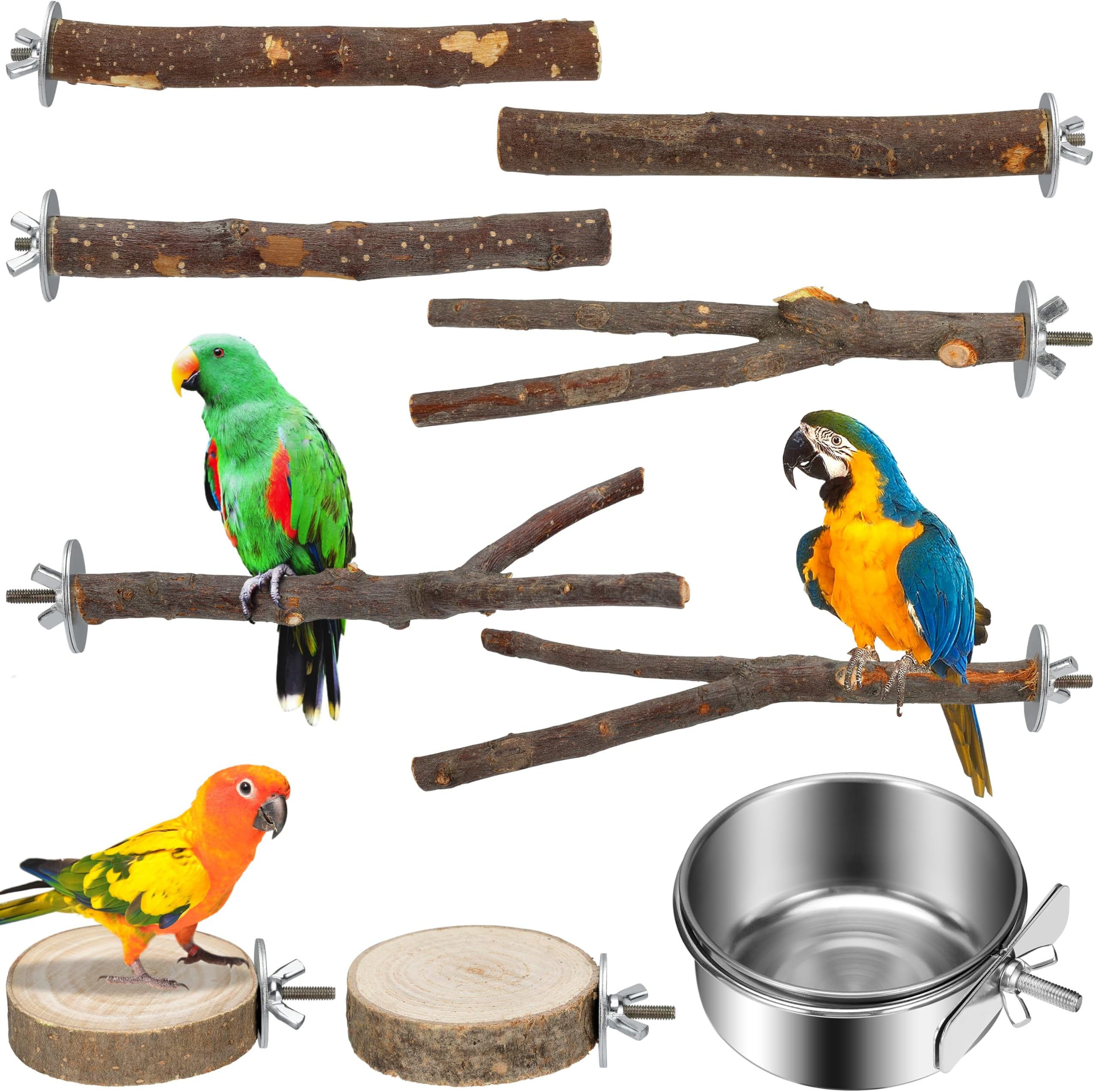 Amazon.com : Okllen Set of 8 Natural Wood Bird Perches, Bird Parrot ...