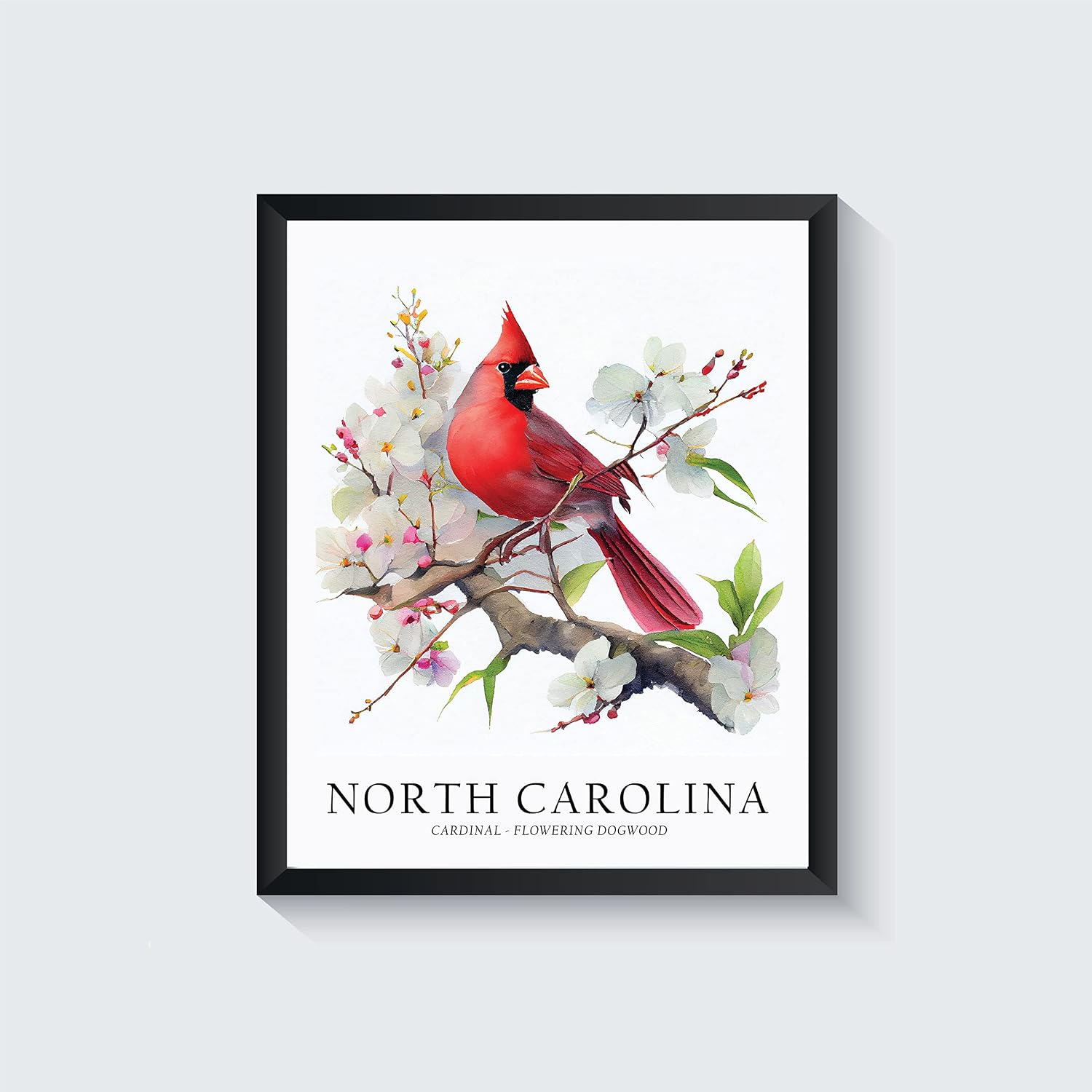 Amazon.com: North Carolina Art Print, North Carolina Poster Wall art ...