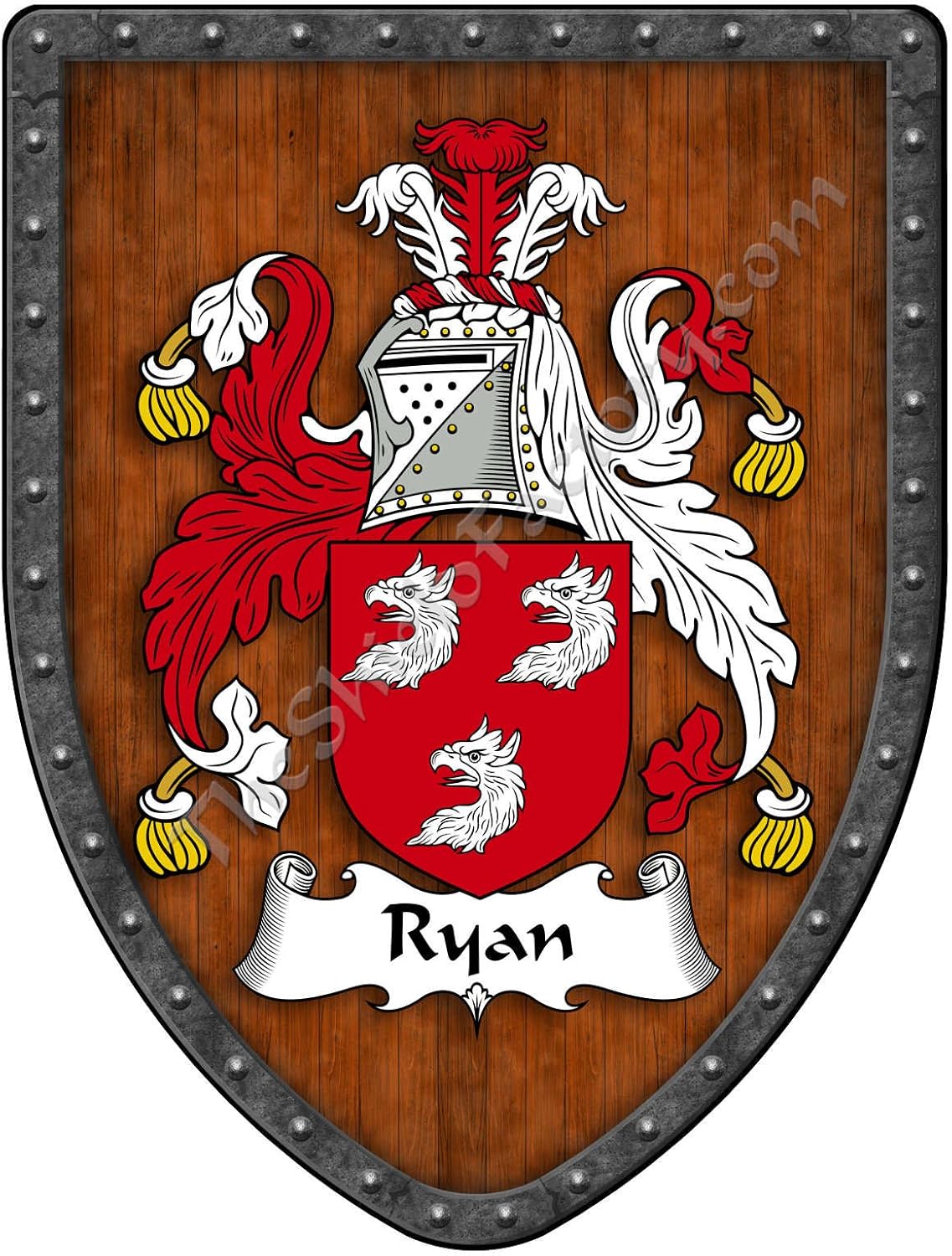 Amazon.com: Ryan Family Crest Custom Coat of Arms, Family Ancestry and ...
