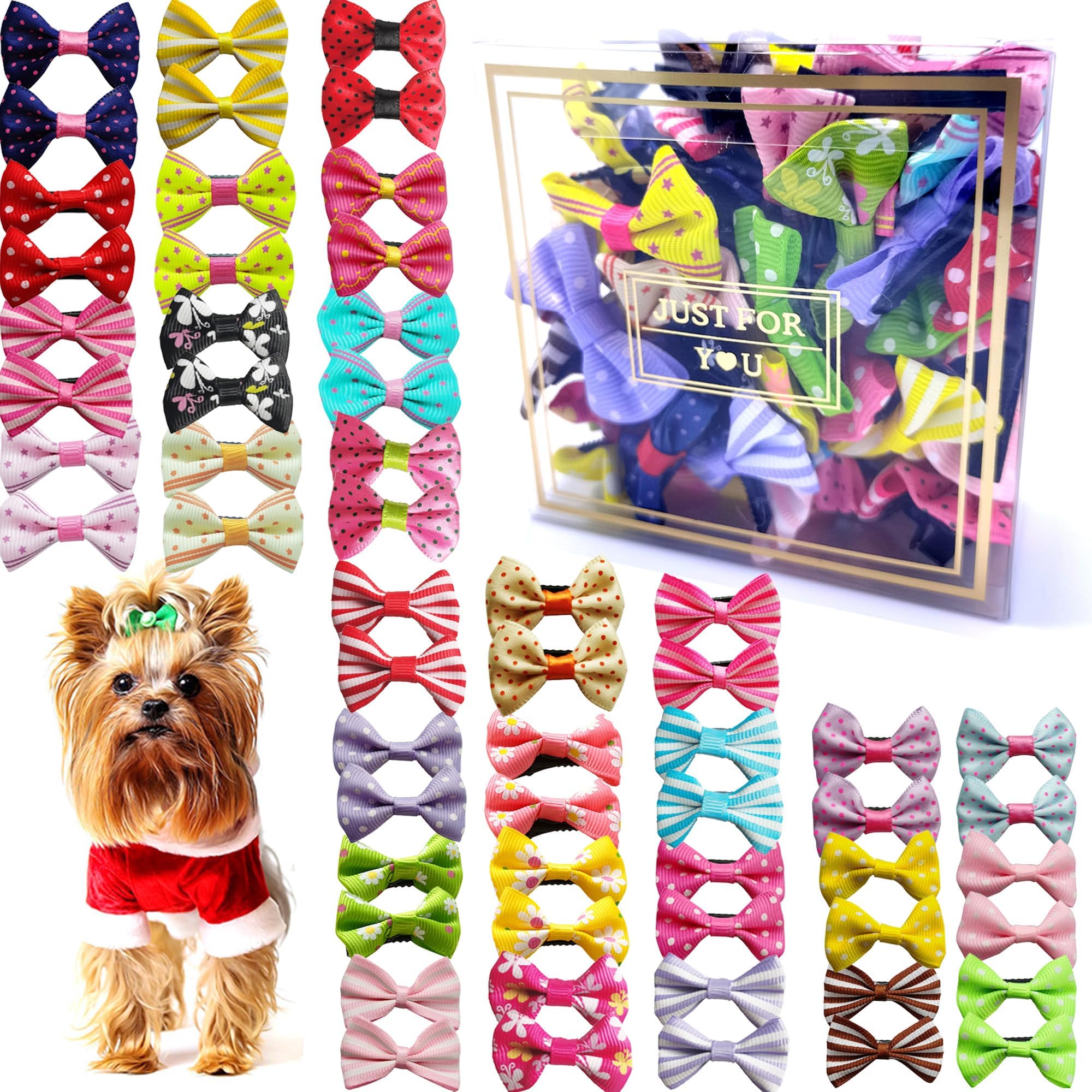 Amazon.com : PET SHOW 10pcs Dot Hair Bows with Rubber Bands for Small ...