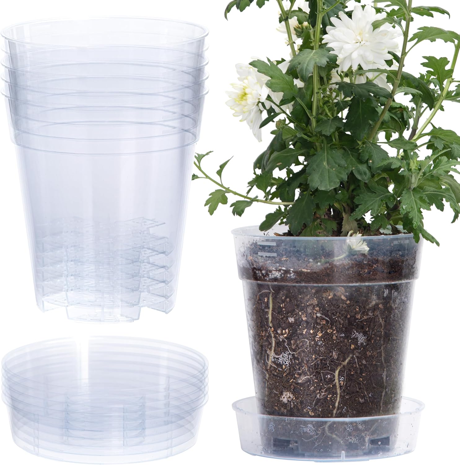 Amazon.com : 1 Gallon 6 Inch Clear Plastic Plant Pot with Drainage ...