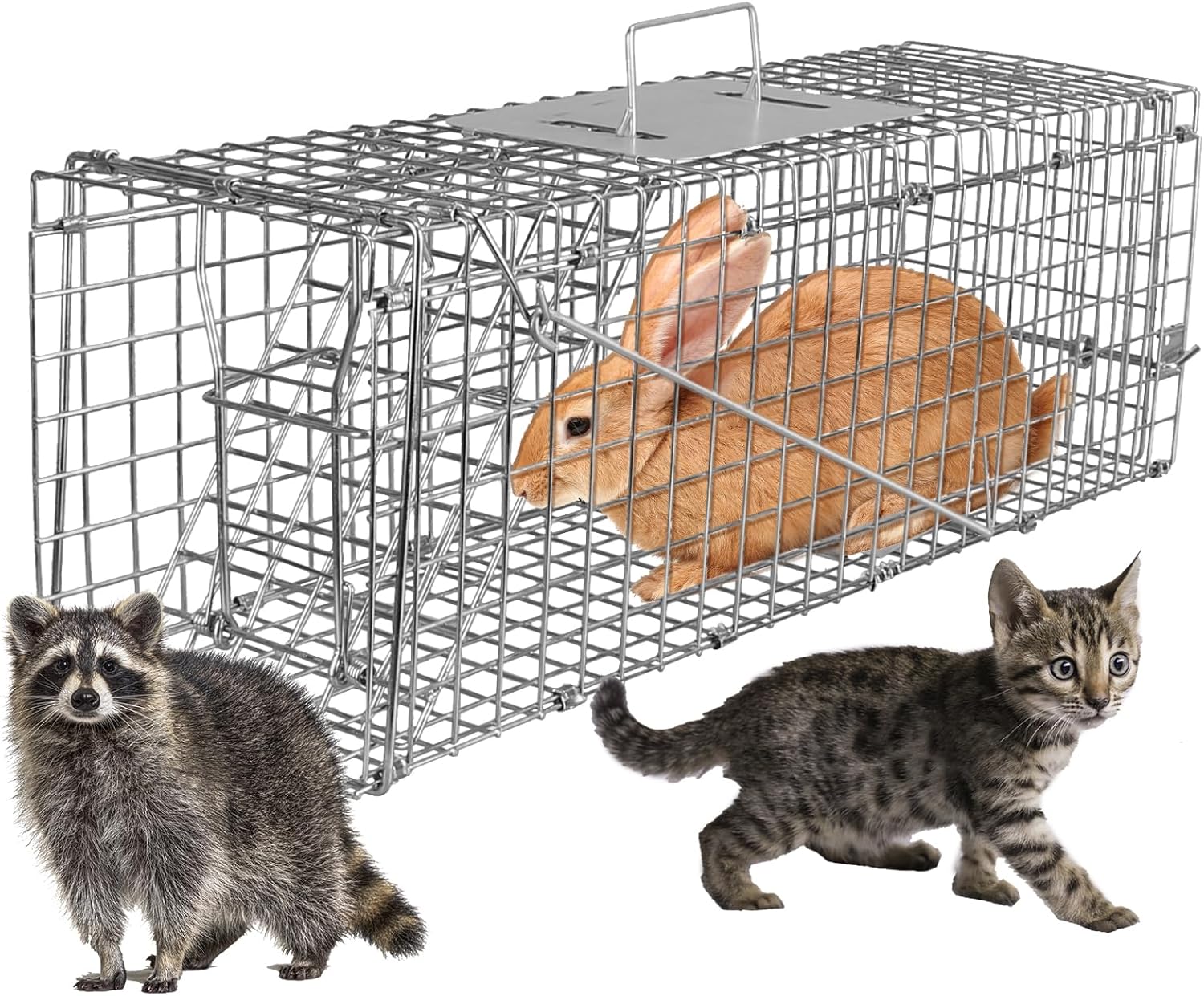 Amazon.com : Humane Live Animal Cage Trap, 23.3x7.2x7.7 Inch ...