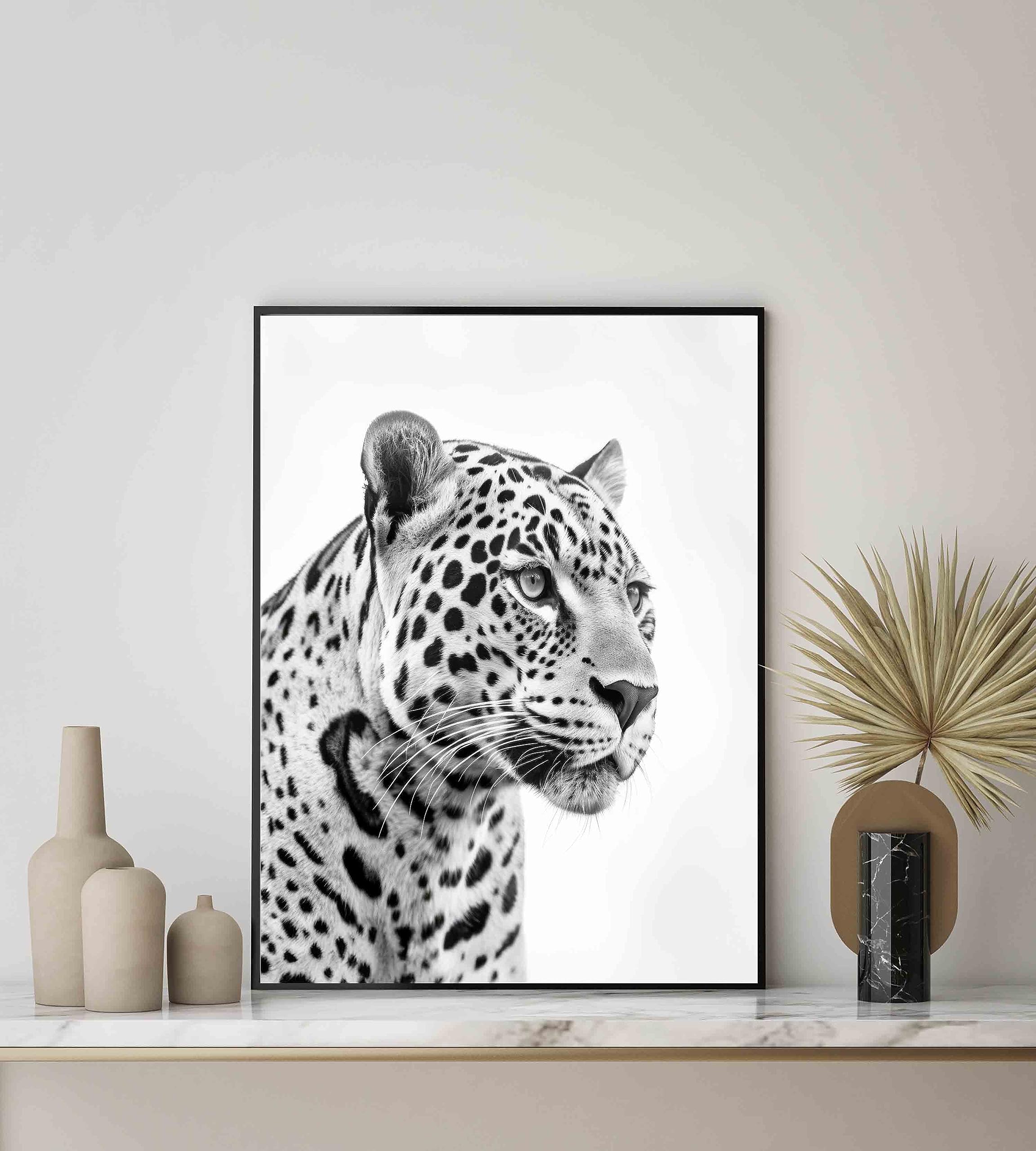 clearance Jaguar Photography - Original Fine Art Nature Photography ...