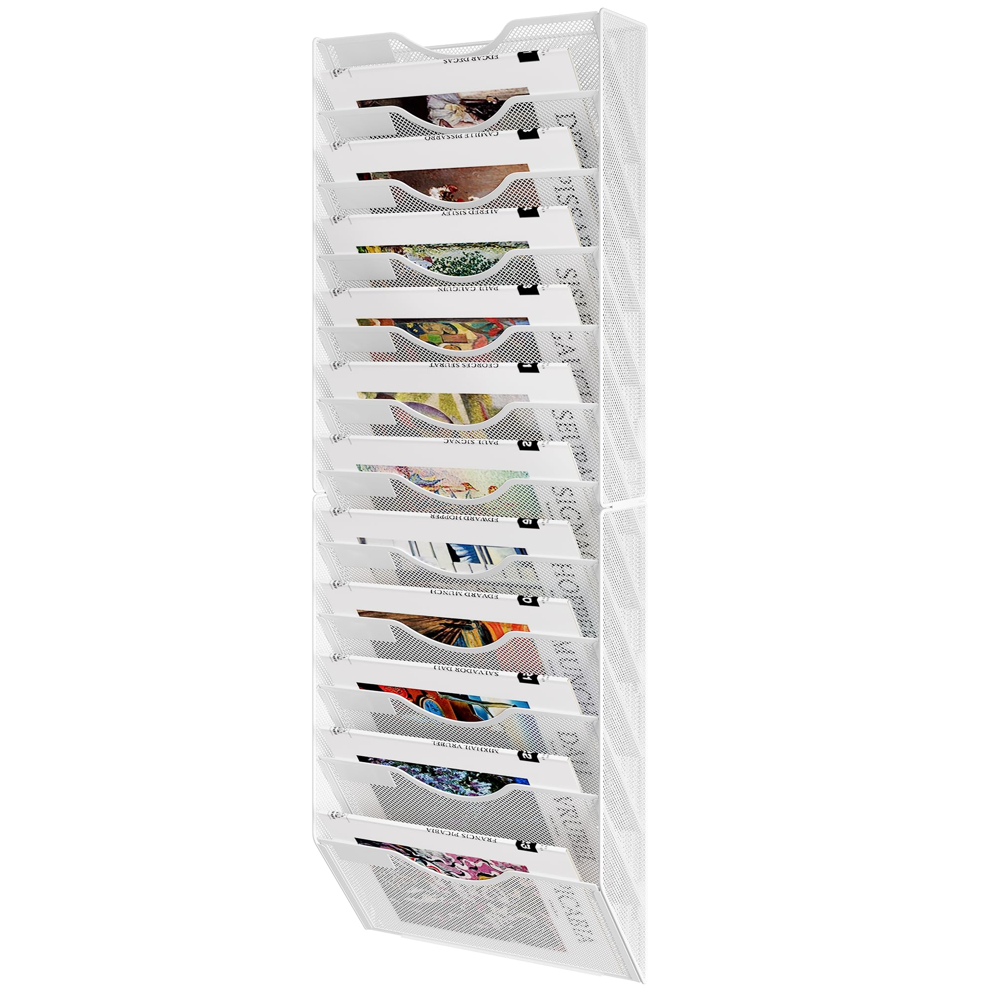 Solinxe Hanging Wall File Holder 12 Tier Paper Document Storage ...