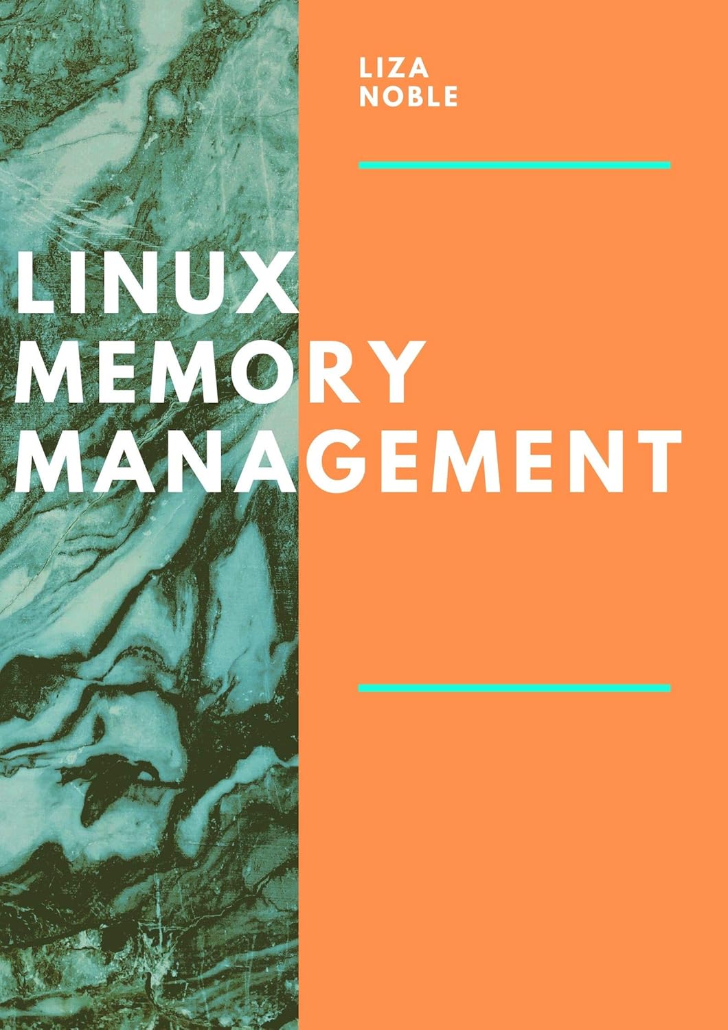 Amazon.com: Linux Memory Management eBook : Biswas, Sujata, Noble, Liza ...