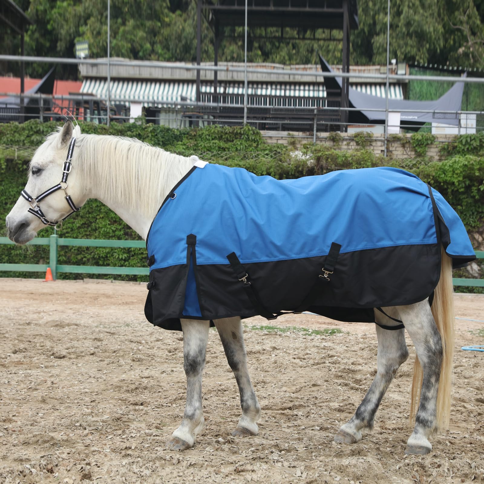 Snapklik.com : Gallopoff 1200 Denier Rip-Stop Turnout Rain Sheet ...