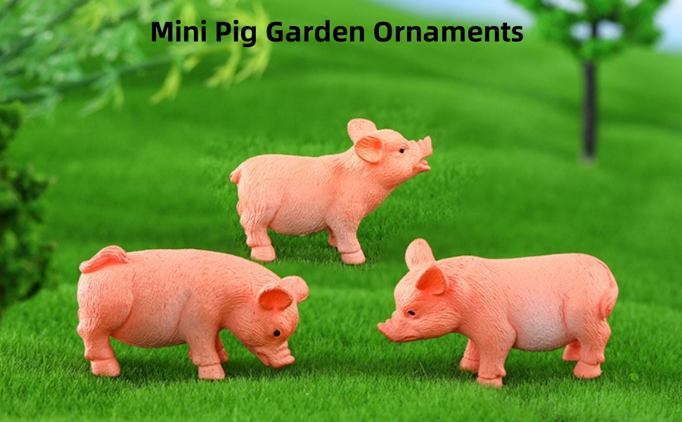 Pink Mini Pig