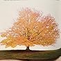 Amazon.com: Seeing Trees: Discover the Extraordinary Secrets of ...