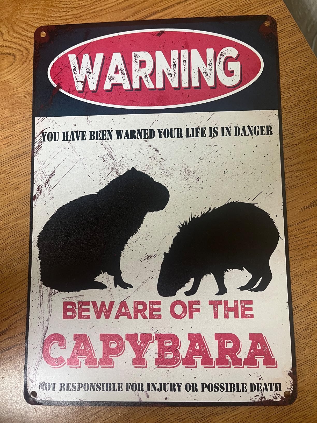 Amazon.com: THUANCKY Vintage Tin Sign Beware of The Capybara Tin Signs ...
